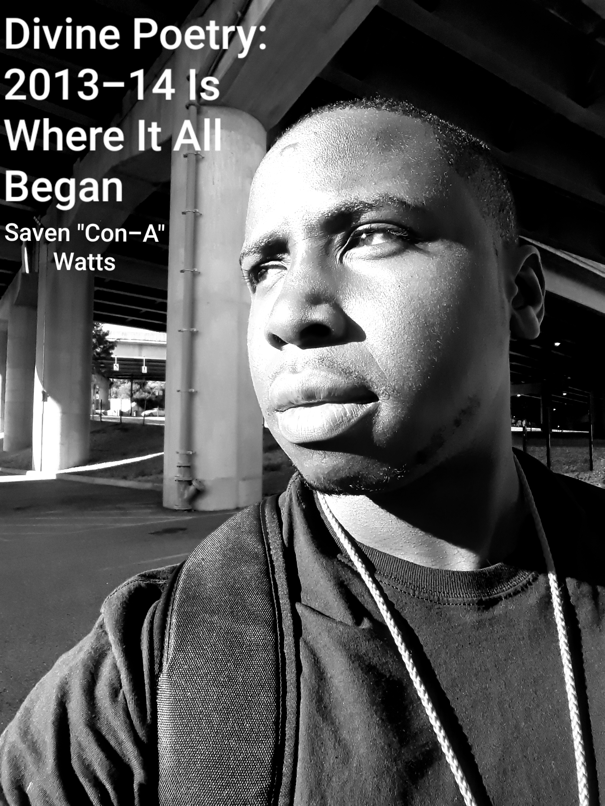 Divine Poetry: 2013-14 Is Where It All Began by Saven Watts | Goodreads