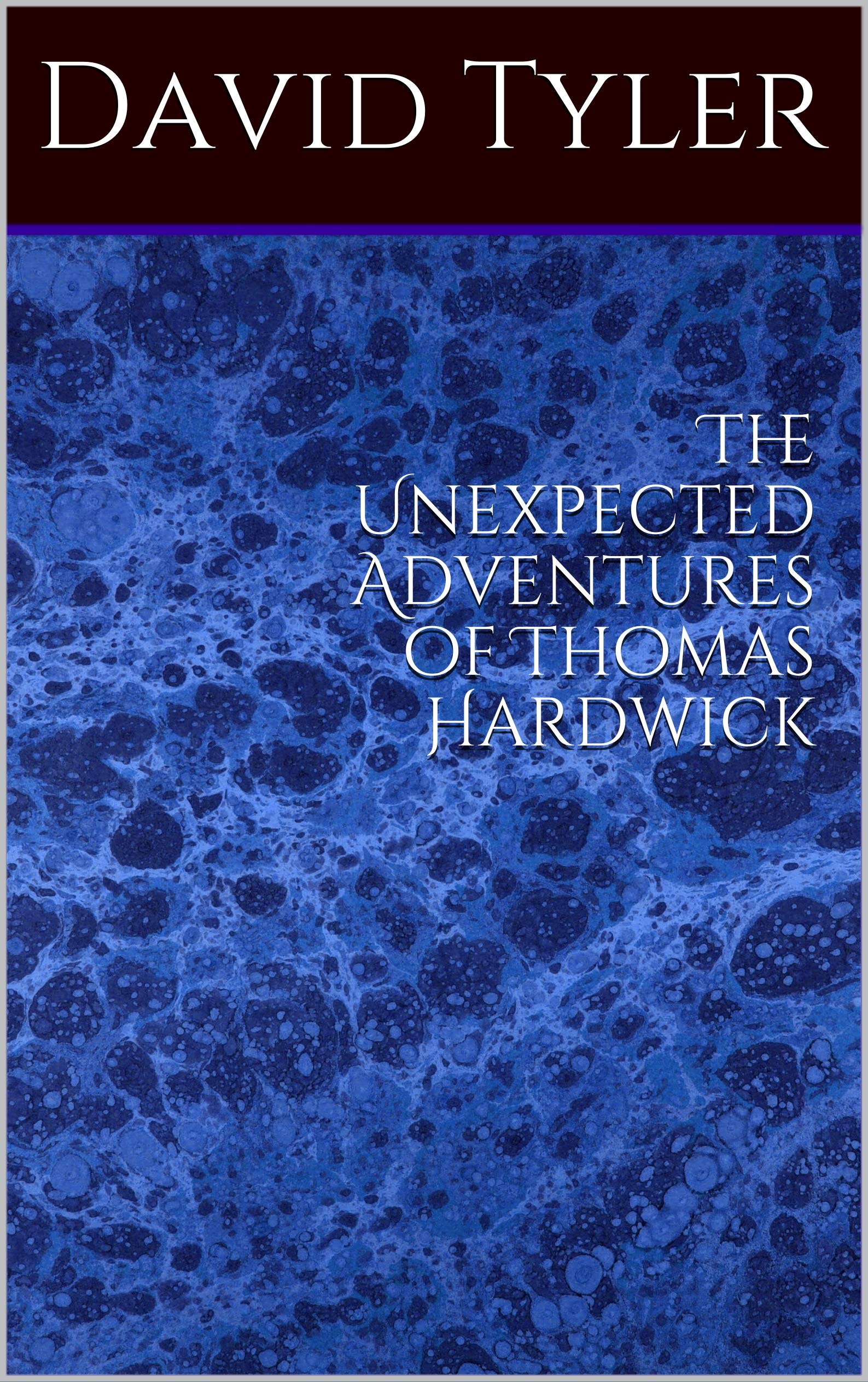 The Unexpected Adventures of Thomas Hardwick by David Tyler | Goodreads