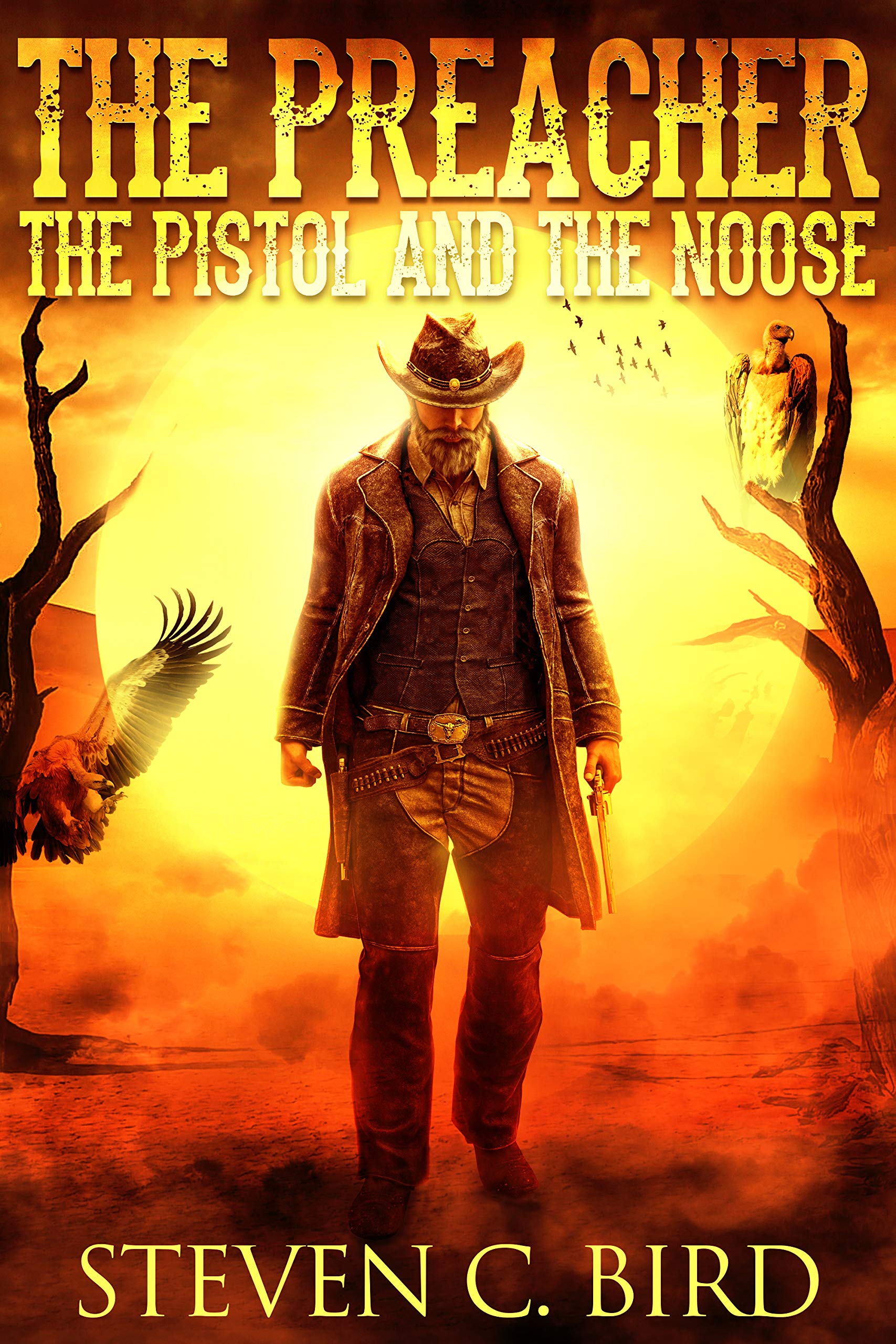 The Preacher, the Pistol, and the Noose by Steven Bird | Goodreads