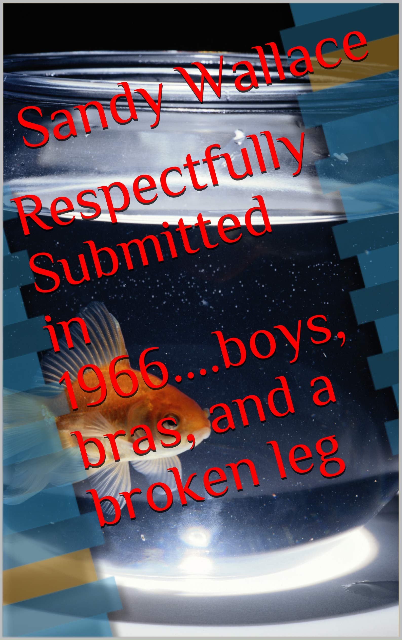 Respectfully Submitted in 1966....boys, bras, and a broken leg by Sandy ...