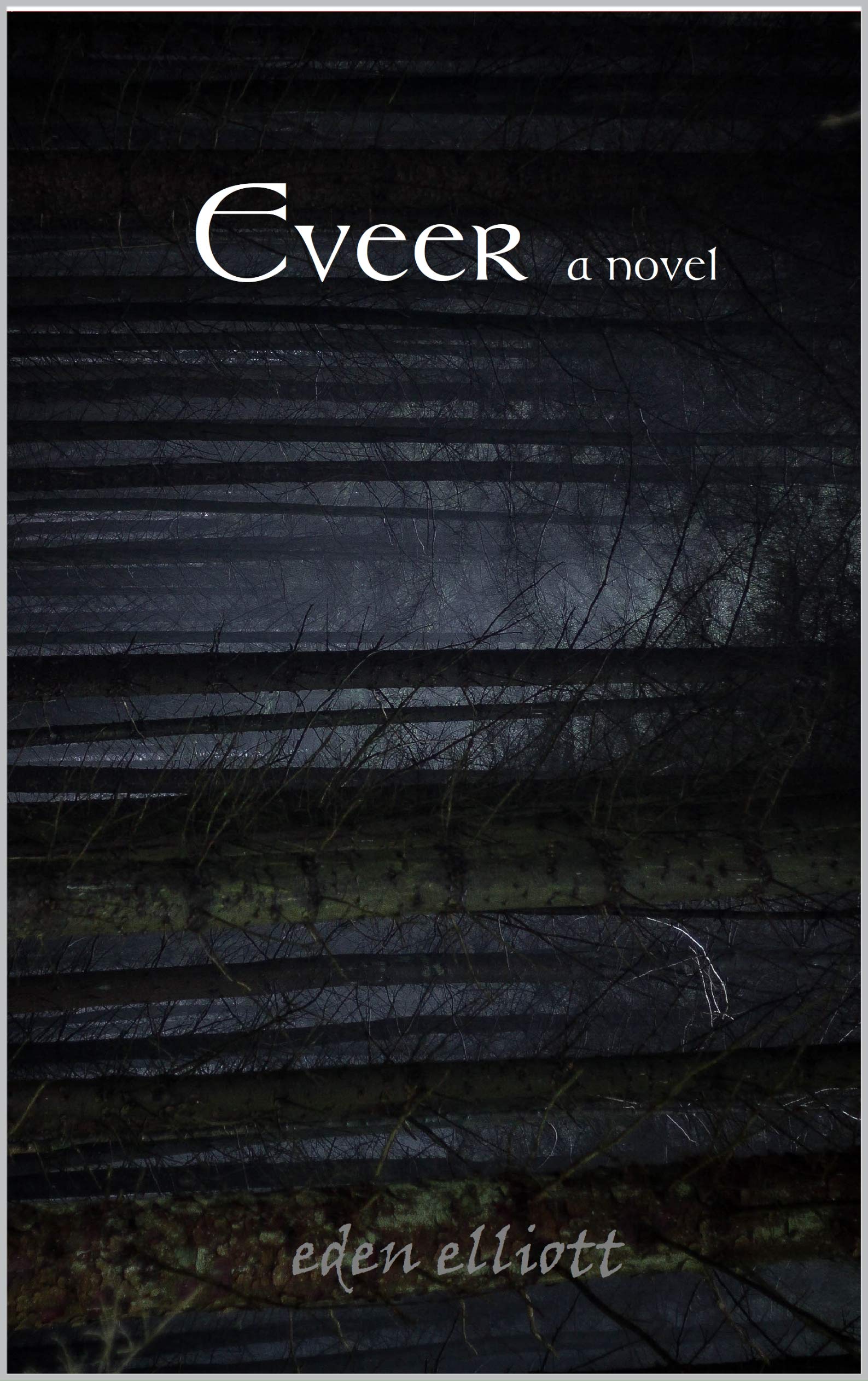 Eveer: a novel by Eden Elliott | Goodreads