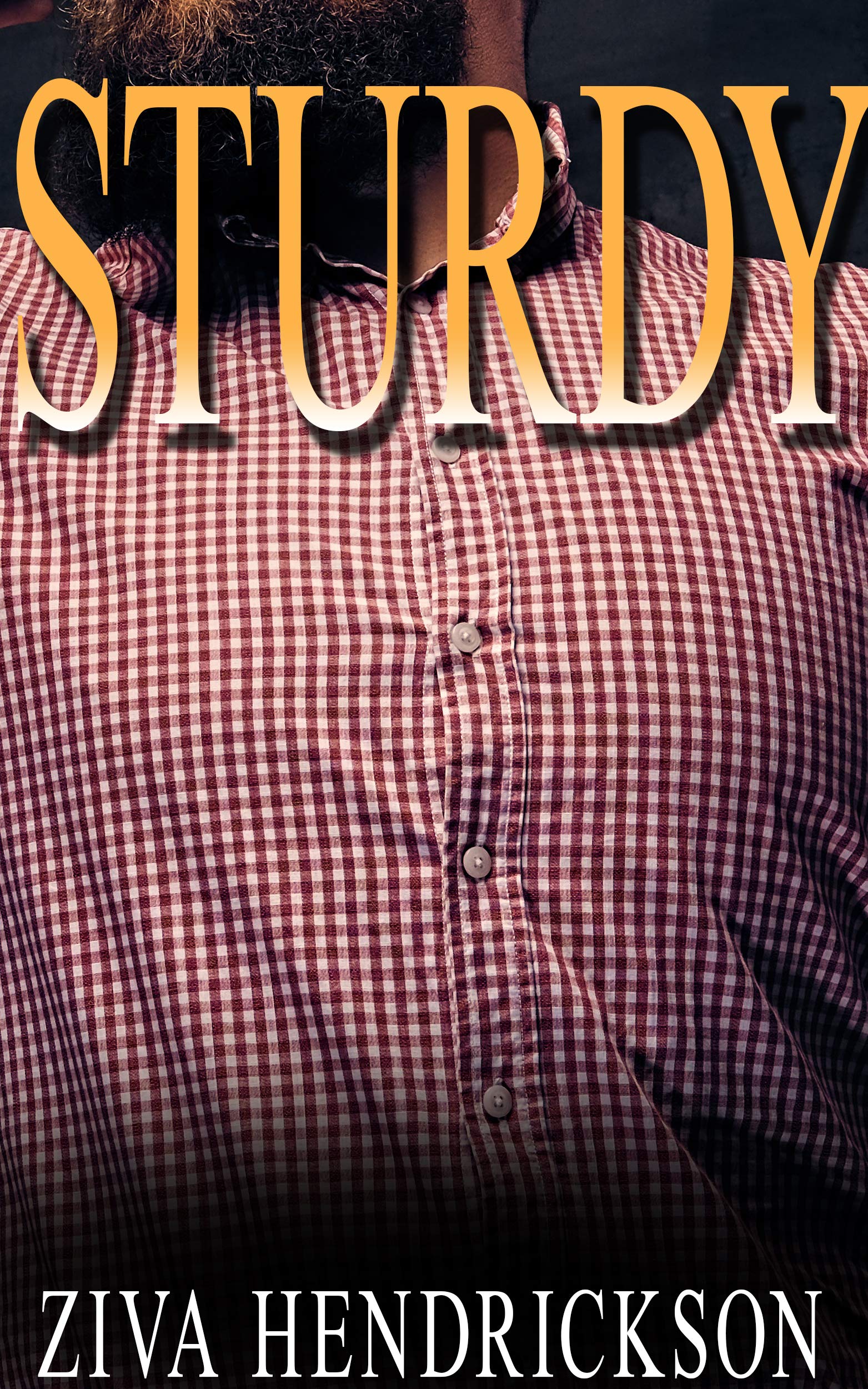 Sturdy by Ziva Hendrickson | Goodreads