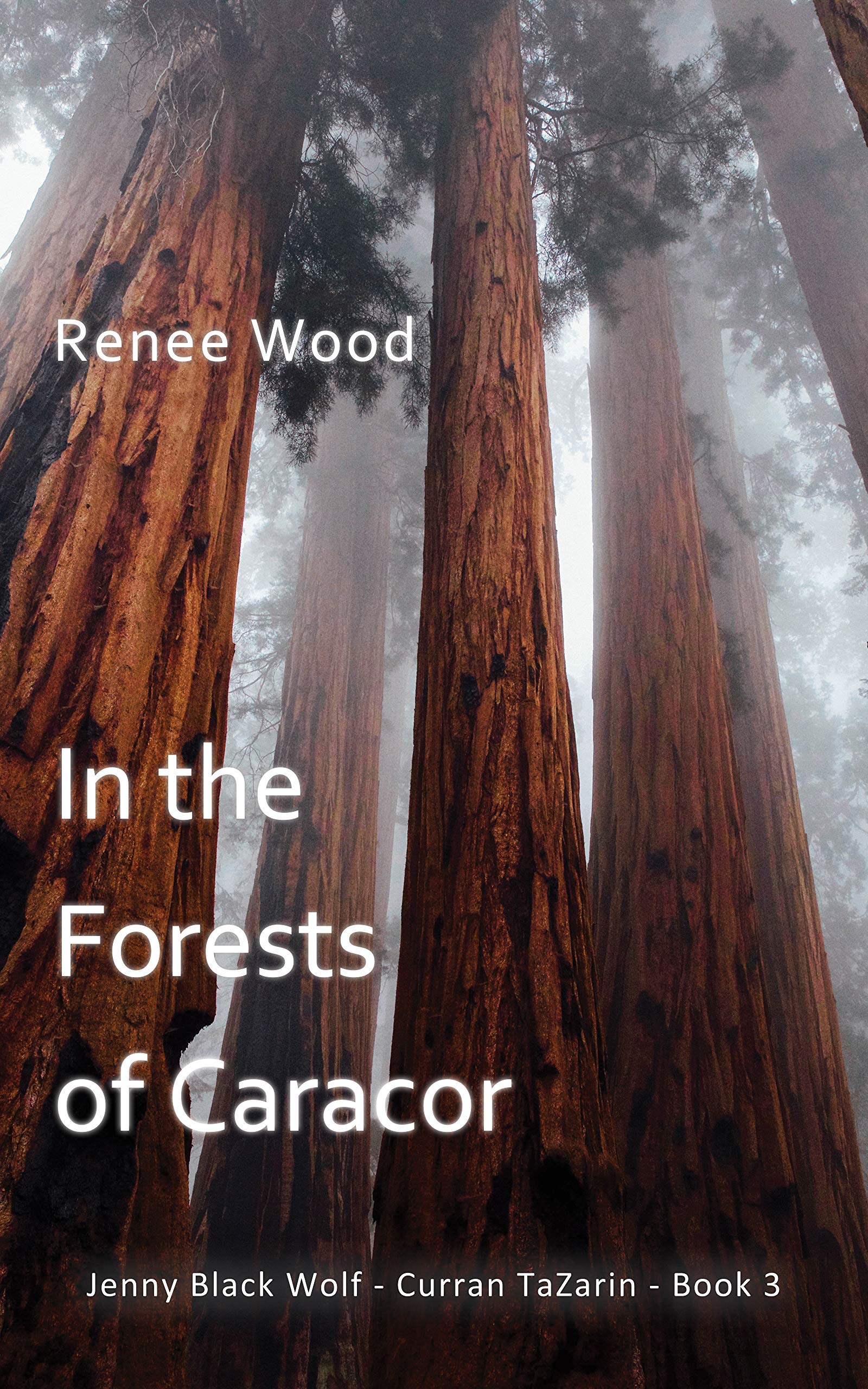 In the Forests of Caracor (Jenny Black Wolf Book 3) by Renee Wood ...