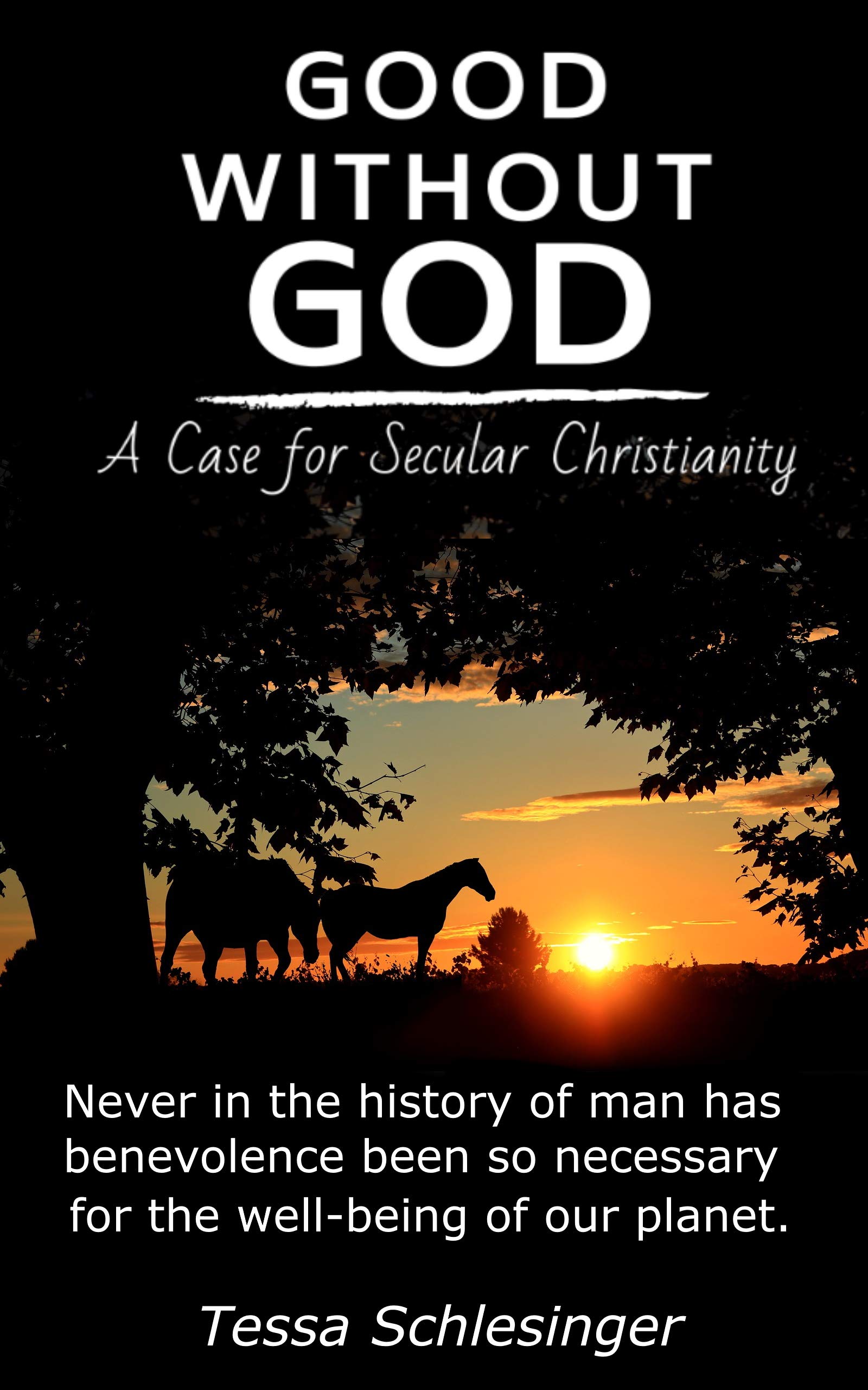 Good Without God - A Case for Secular Christianity by Tessa Schlesinger ...