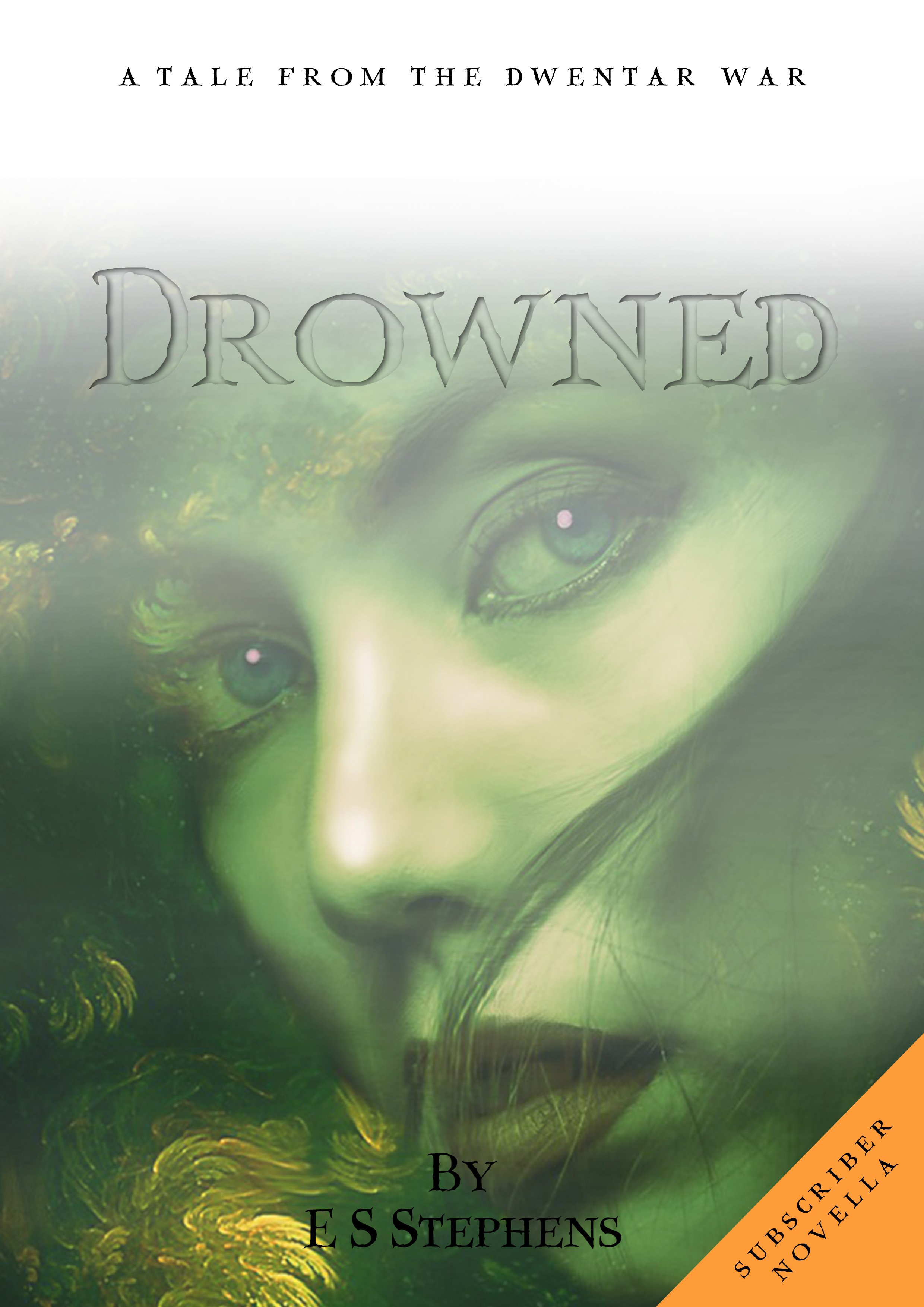 Drowned by Elizabeth Stephens | Goodreads