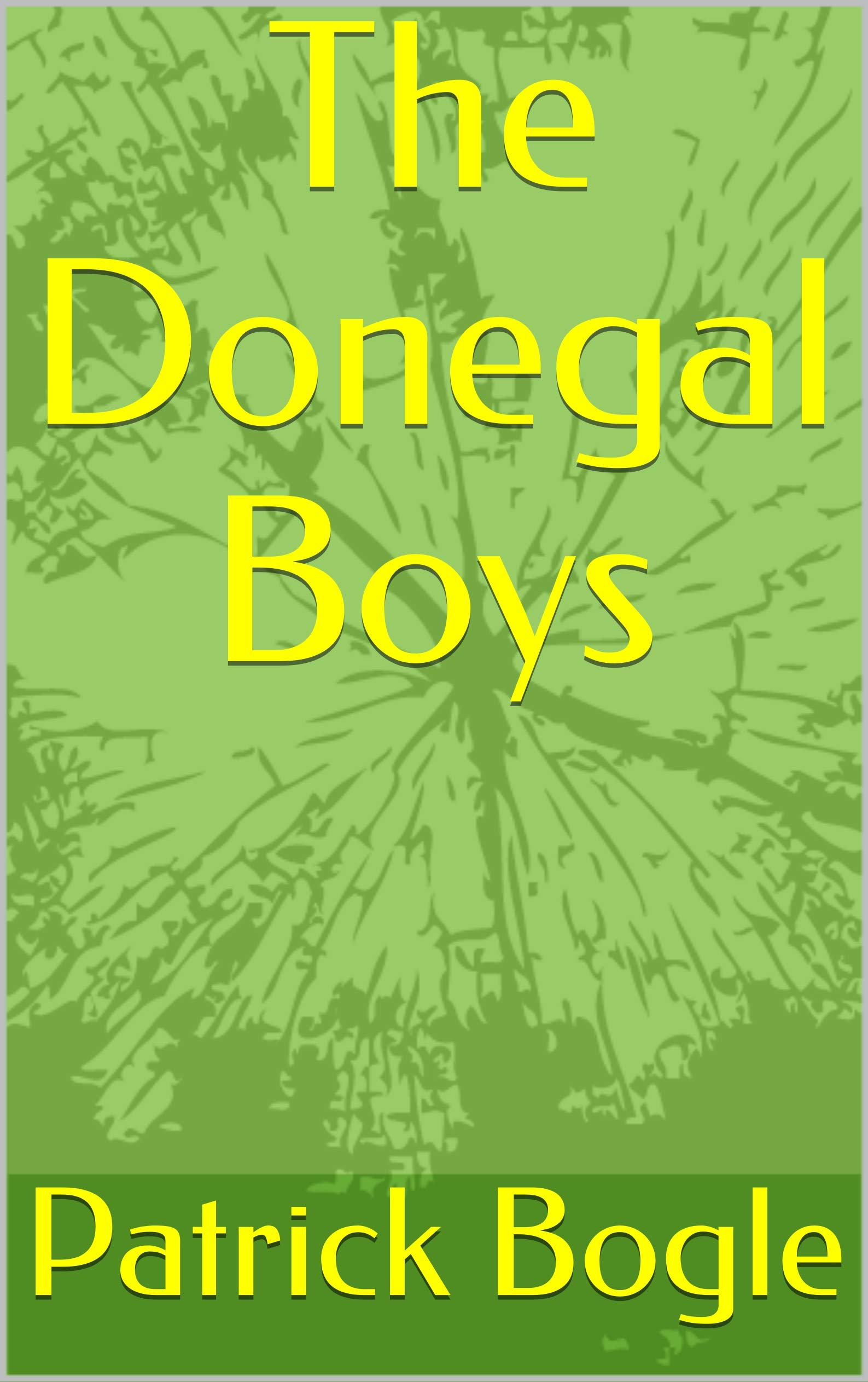 The Donegal Boys by Patrick Bogle | Goodreads
