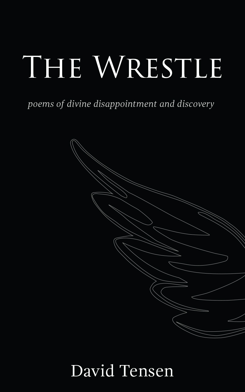 The Wrestle: Poems of Divine Disappointment and Discovery by David ...