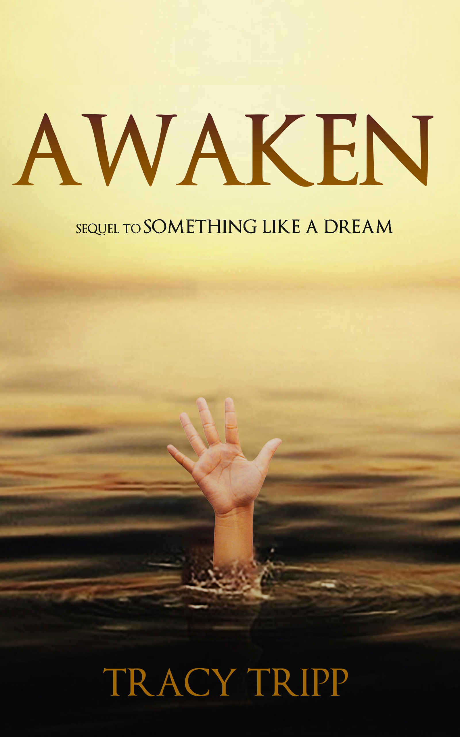 Awaken (Sequel to Something Like a Dream) by Tracy Tripp | Goodreads