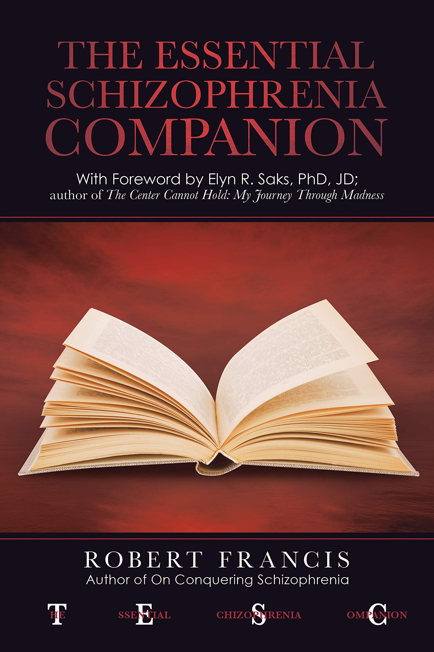The Essential Schizophrenia Companion: with Foreword by Elyn R. Saks ...
