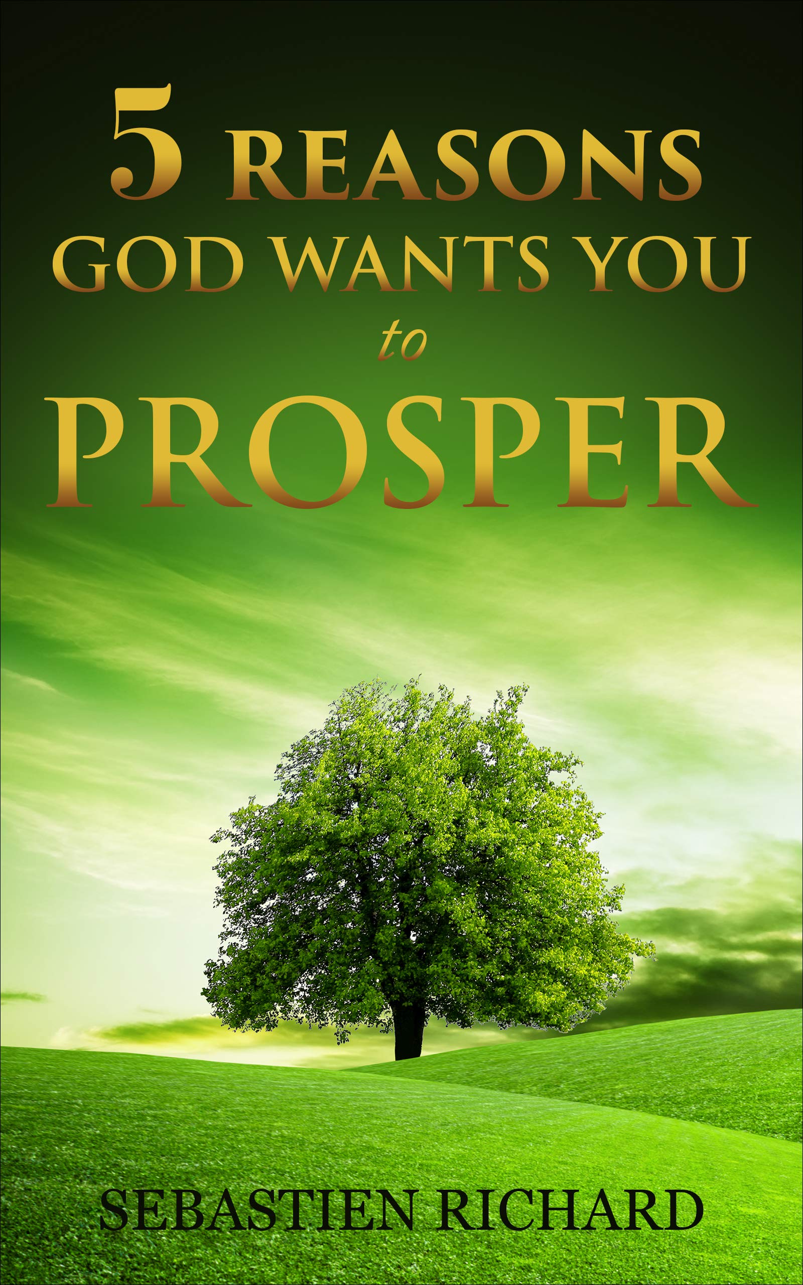 5 Reasons God Wants You to Prosper: The Believer's Pathway to a ...