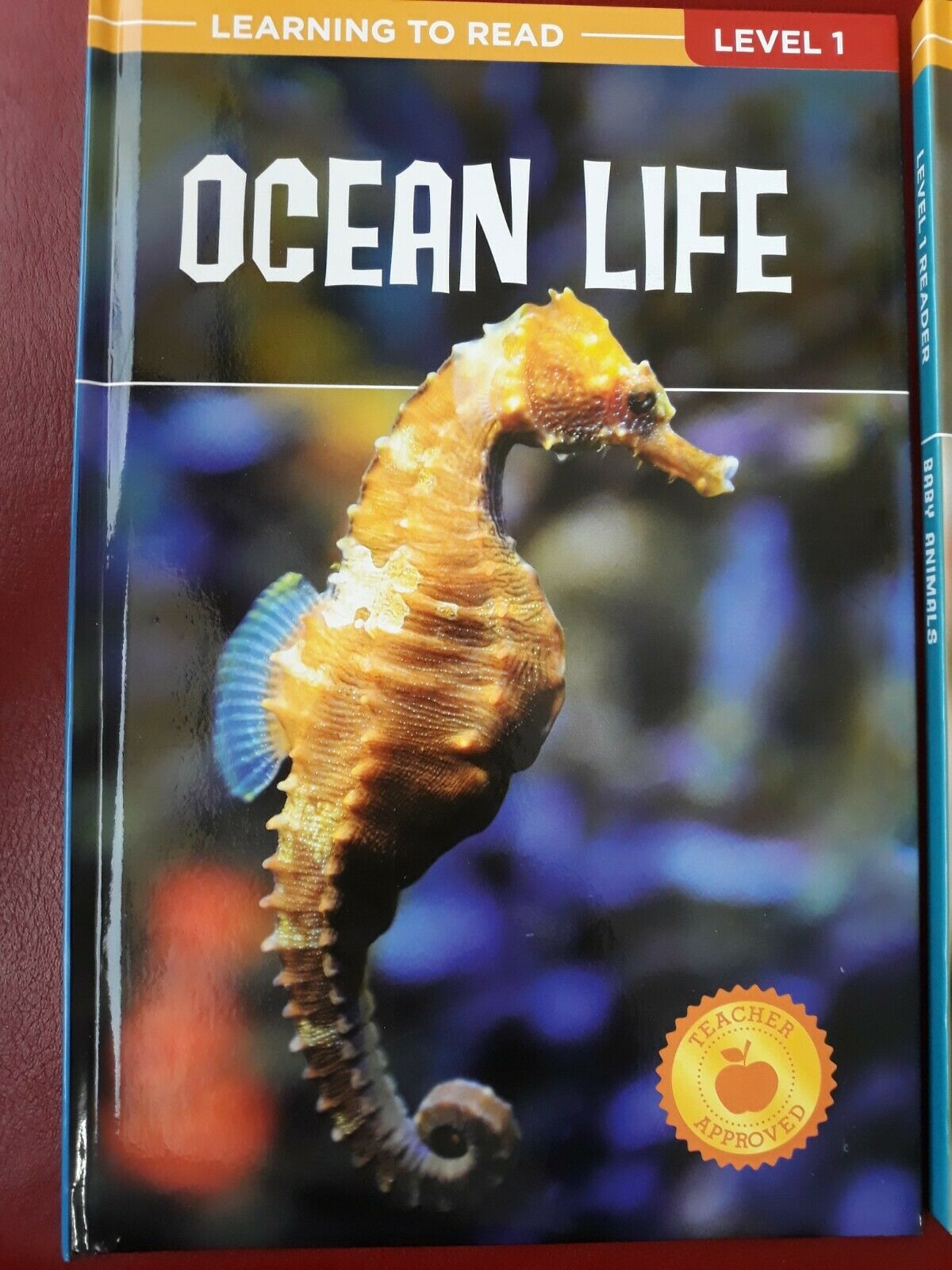Ocean Life : Learning to Read Level 1 by The Clever Factory | Goodreads