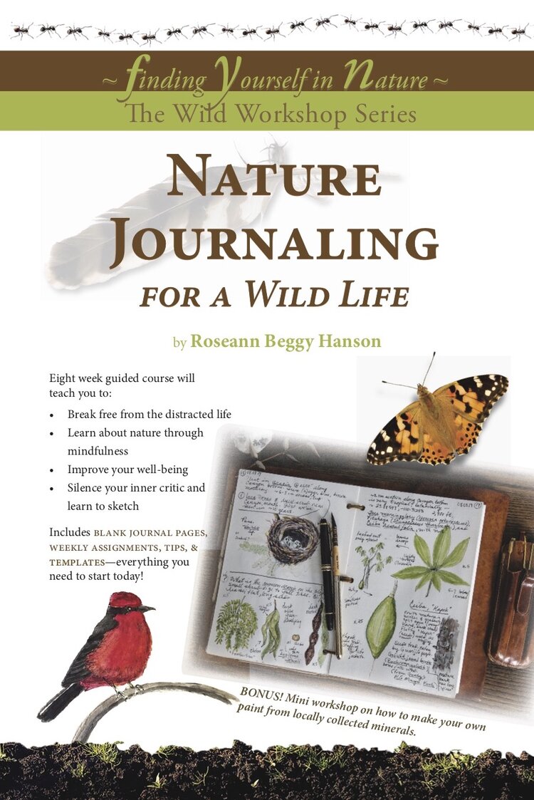 Nature journaling for a wild life by Roseann Beggy Hanson | Goodreads