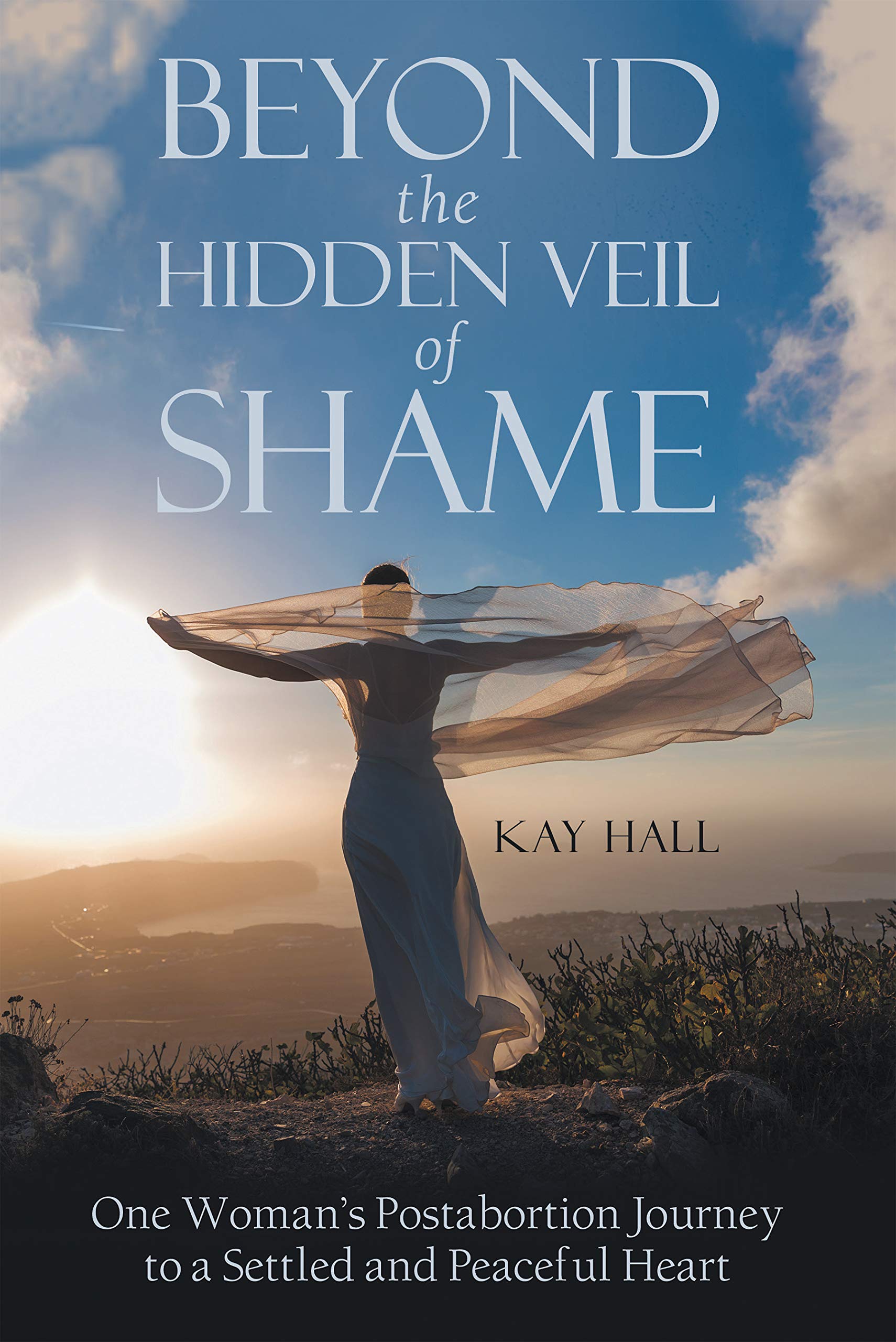 Beyond the Hidden Veil of Shame: One Woman’s Postabortion Journey to a ...