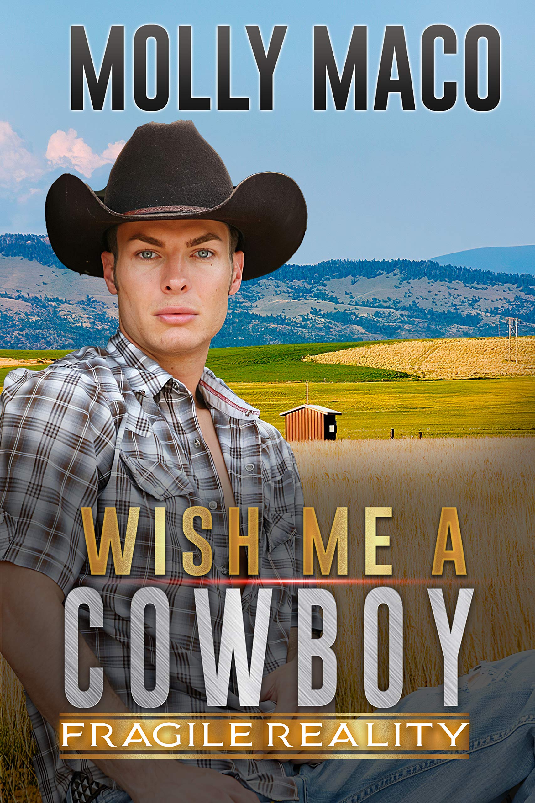Wish Me A Cowboy : Fragile Reality by Molly Maco | Goodreads