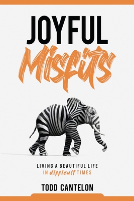 JOYFUL MISFITS: living a beautiful life in difficult times by Todd ...