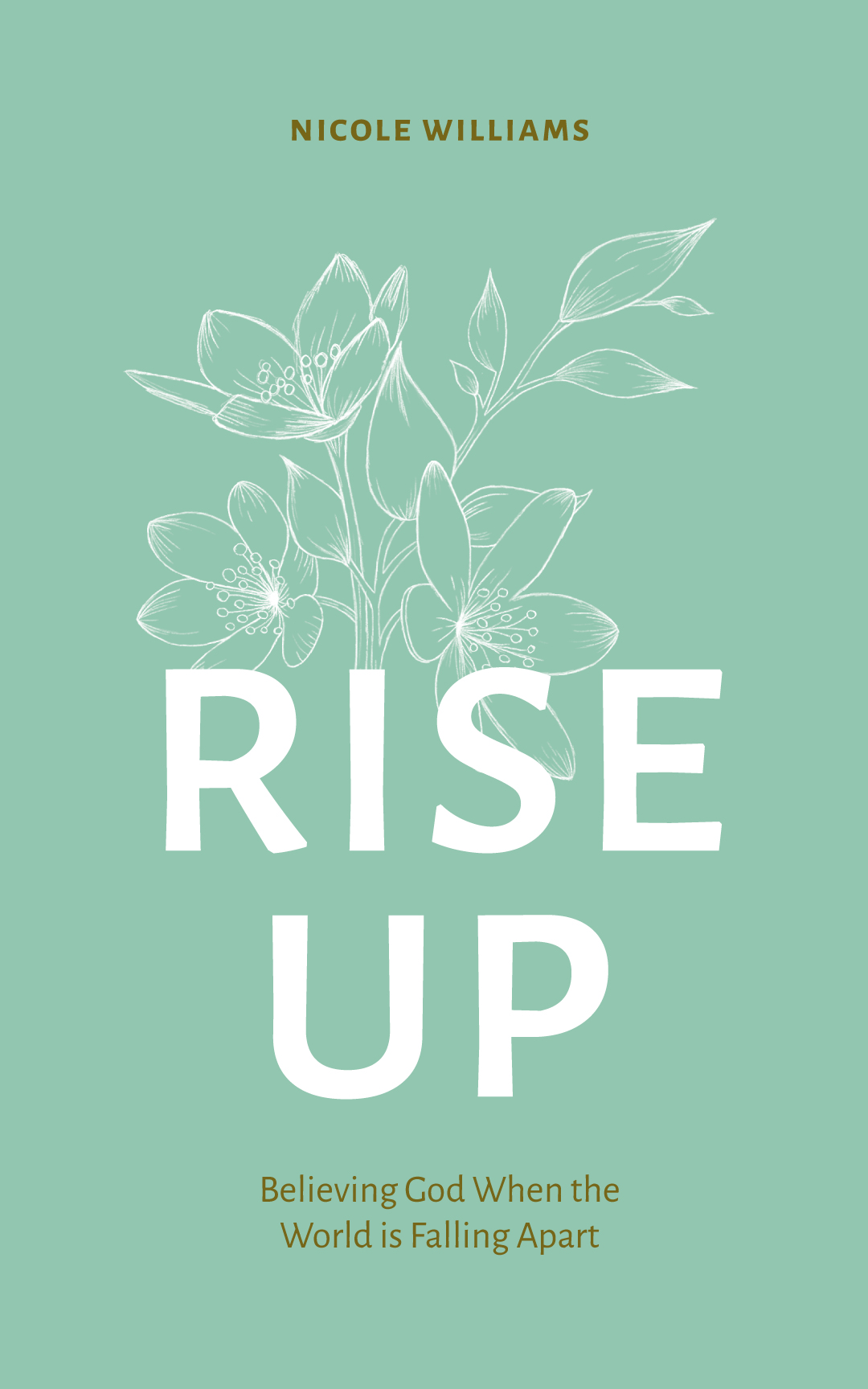 RISE UP: Believing God When the World is Falling Apart by Nicole ...