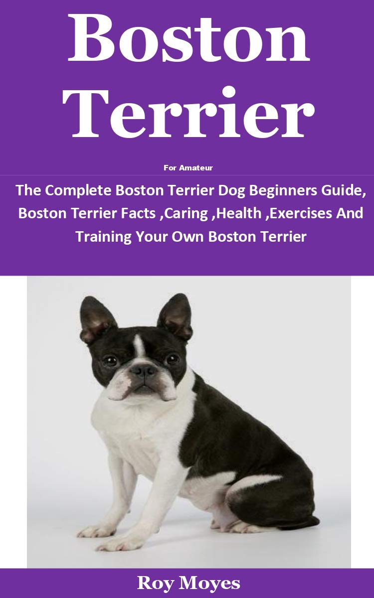 Boston Terrier For Amateur: The Complete Boston Terrier Dog Beginners ...