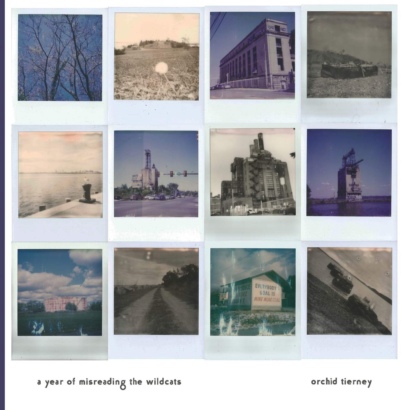 A Year of Misreading the Wildcats by Orchid Tierney | Goodreads