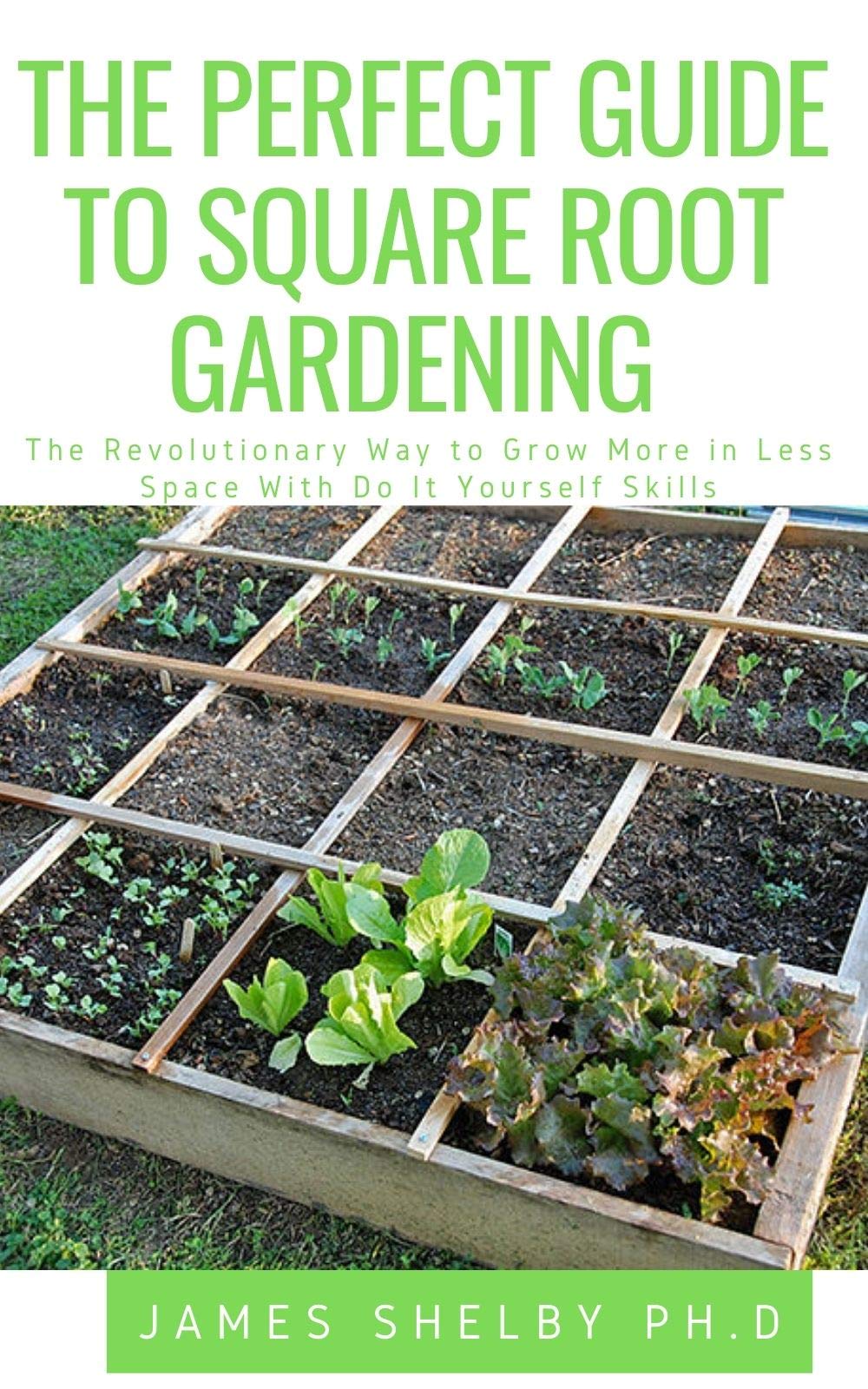 THE PERFECT GUIDE TO SQUARE ROOT GARDENING : The Revolutionary Way to ...