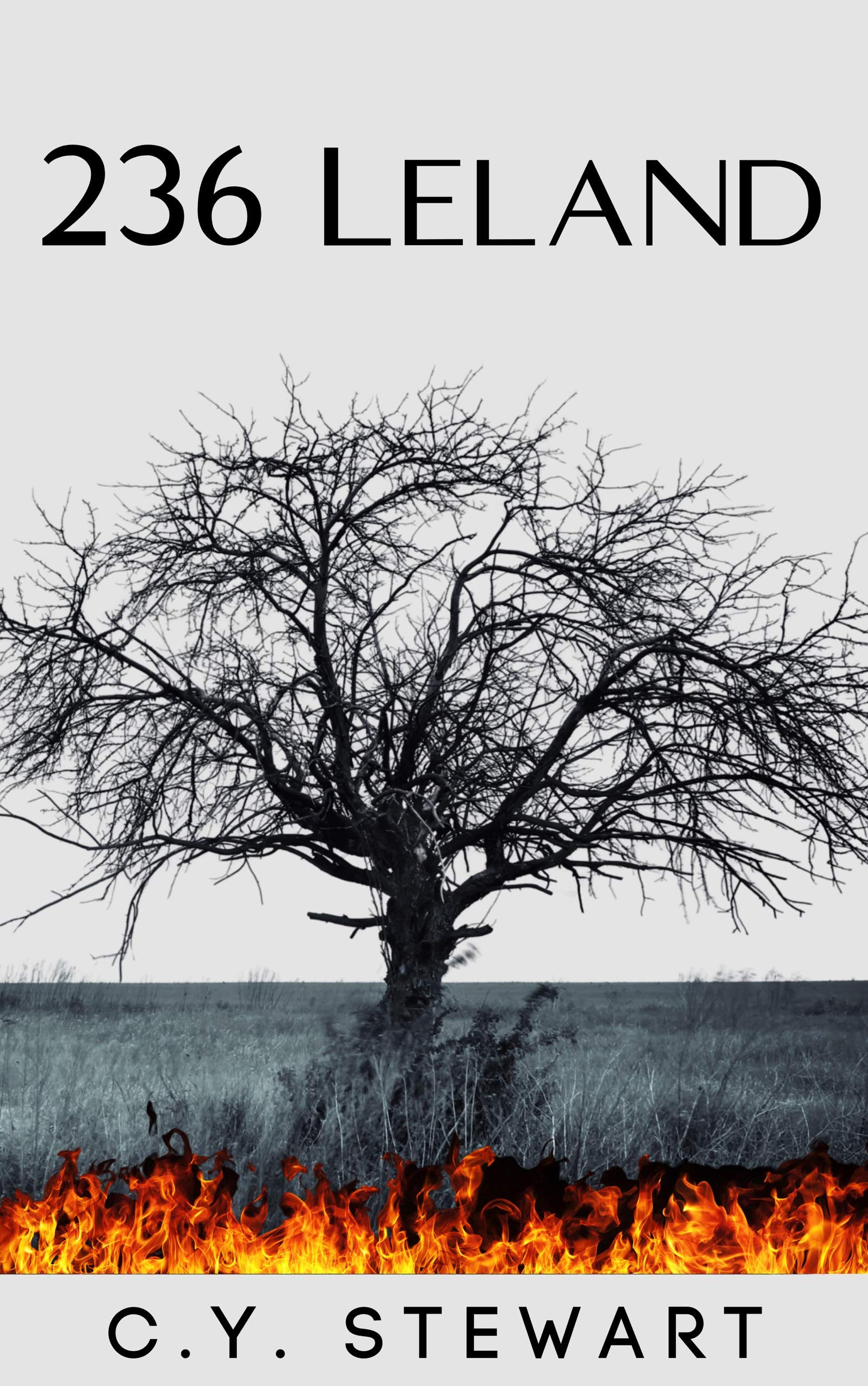 236 Leland: A Novel (Carrie and Steve series) by C.Y. Stewart | Goodreads