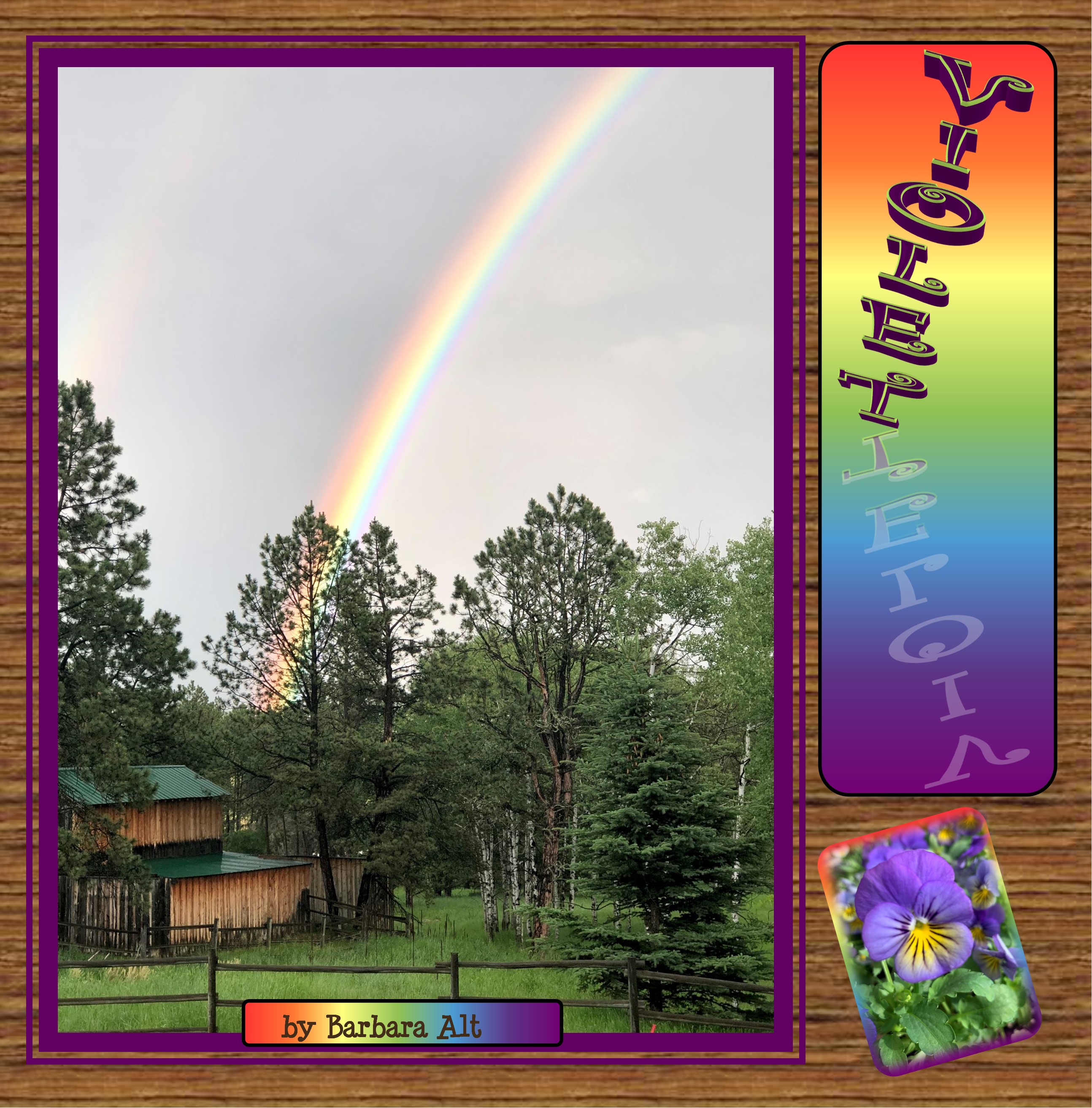 VIOLET (Rose's Adventures, #3) by Barbara Alt | Goodreads