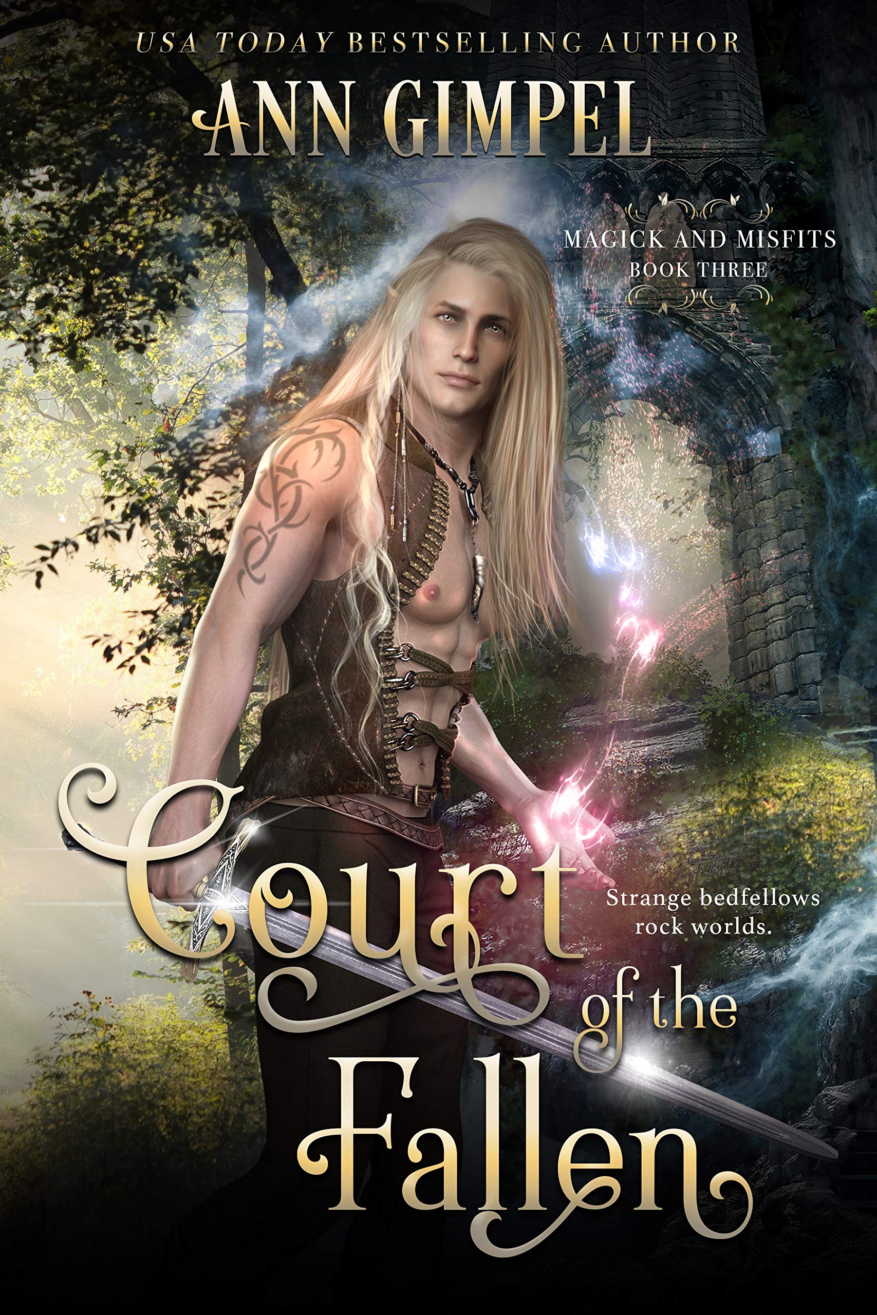 Court of the Fallen (Magick and Misfits #3) by Ann Gimpel | Goodreads
