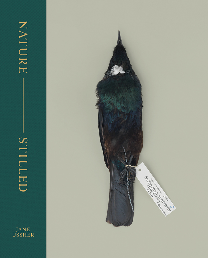 Nature — Stilled by Jane Ussher | Goodreads