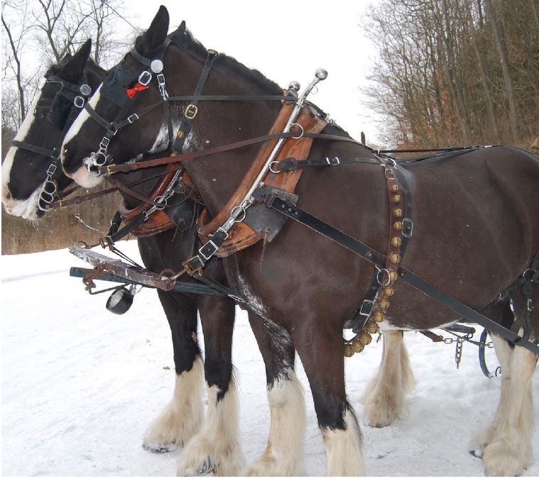 Frontier Mall by Rolf and Ranger | Goodreads