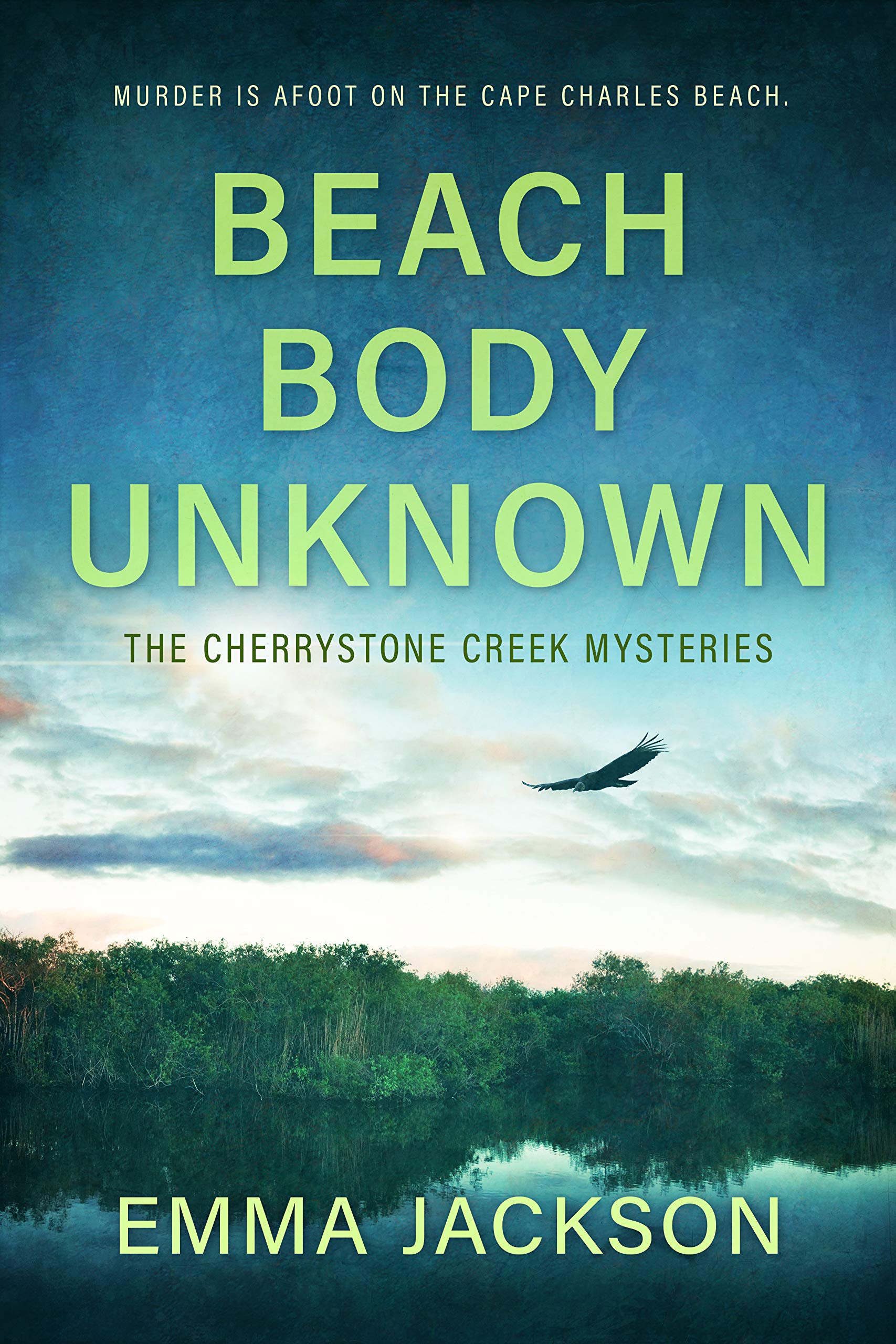 Beach Body Unknown (A Cherrystone Creek Mystery #3) by Emma Jackson ...
