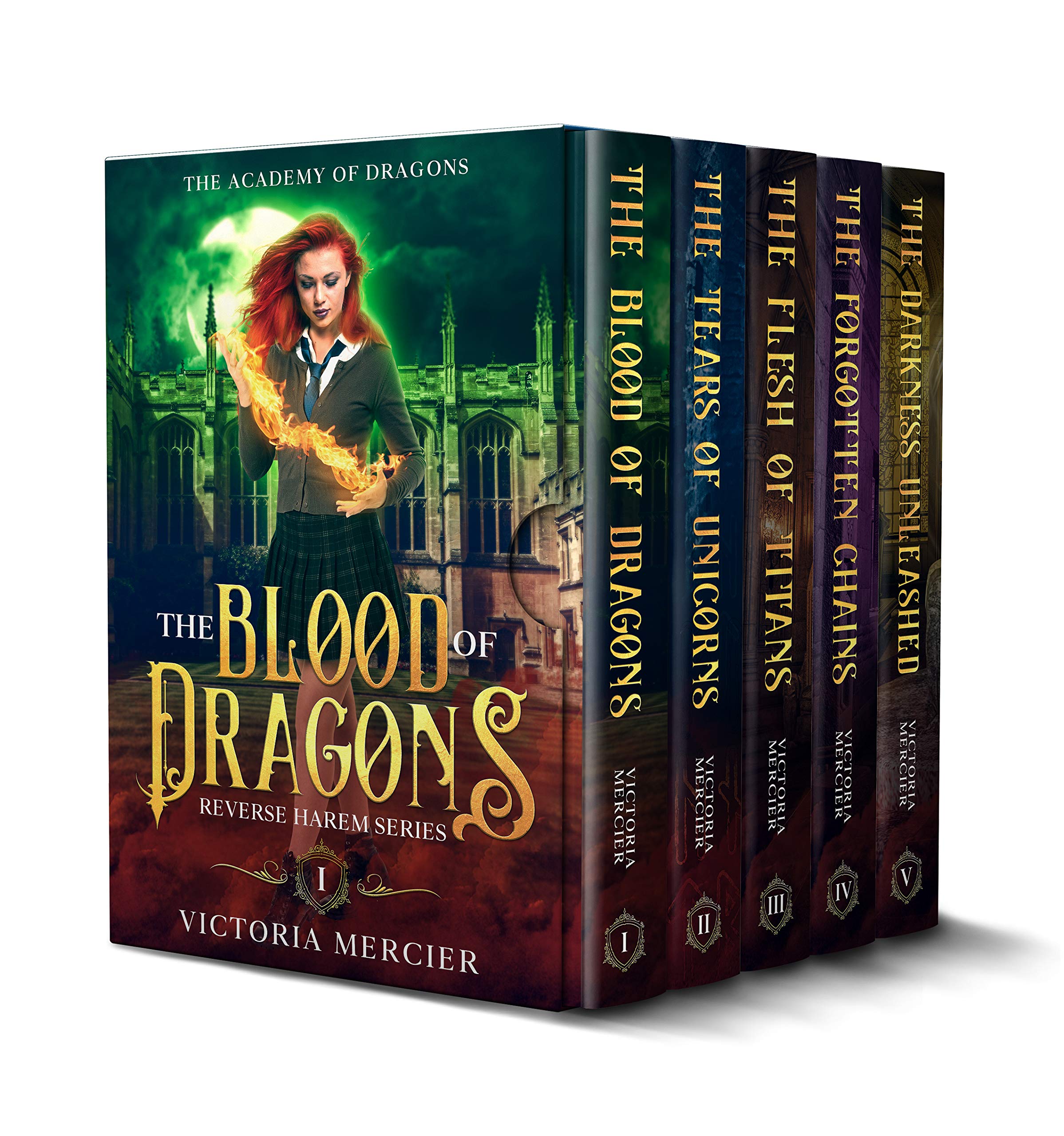 The Academy of Dragons Complete Series Boxed Set: Books 1-5: Reverse ...
