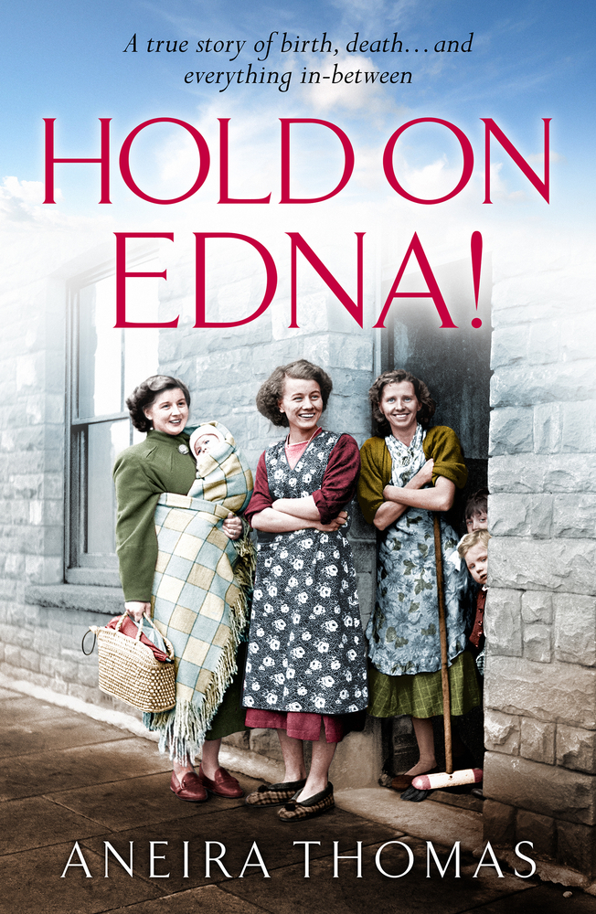 Hold on Edna! by Aneira Thomas | Goodreads