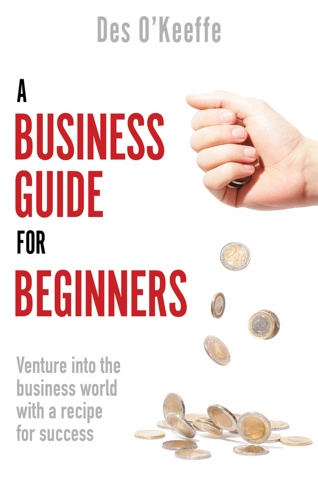 A Business Guide for Beginners: Venture Into the Business World with a Recipe for Success by Des ...