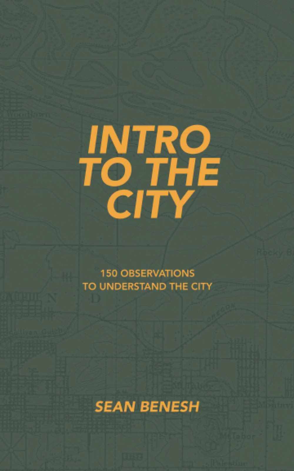 Intro to the City: 150 Observations to Understand the City by Sean ...