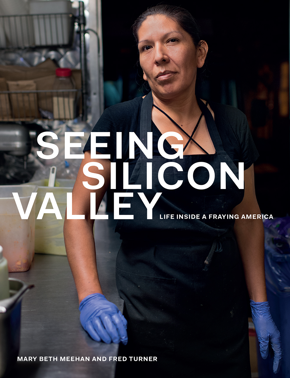 Seeing Silicon Valley: Life inside a Fraying America by Mary Beth ...