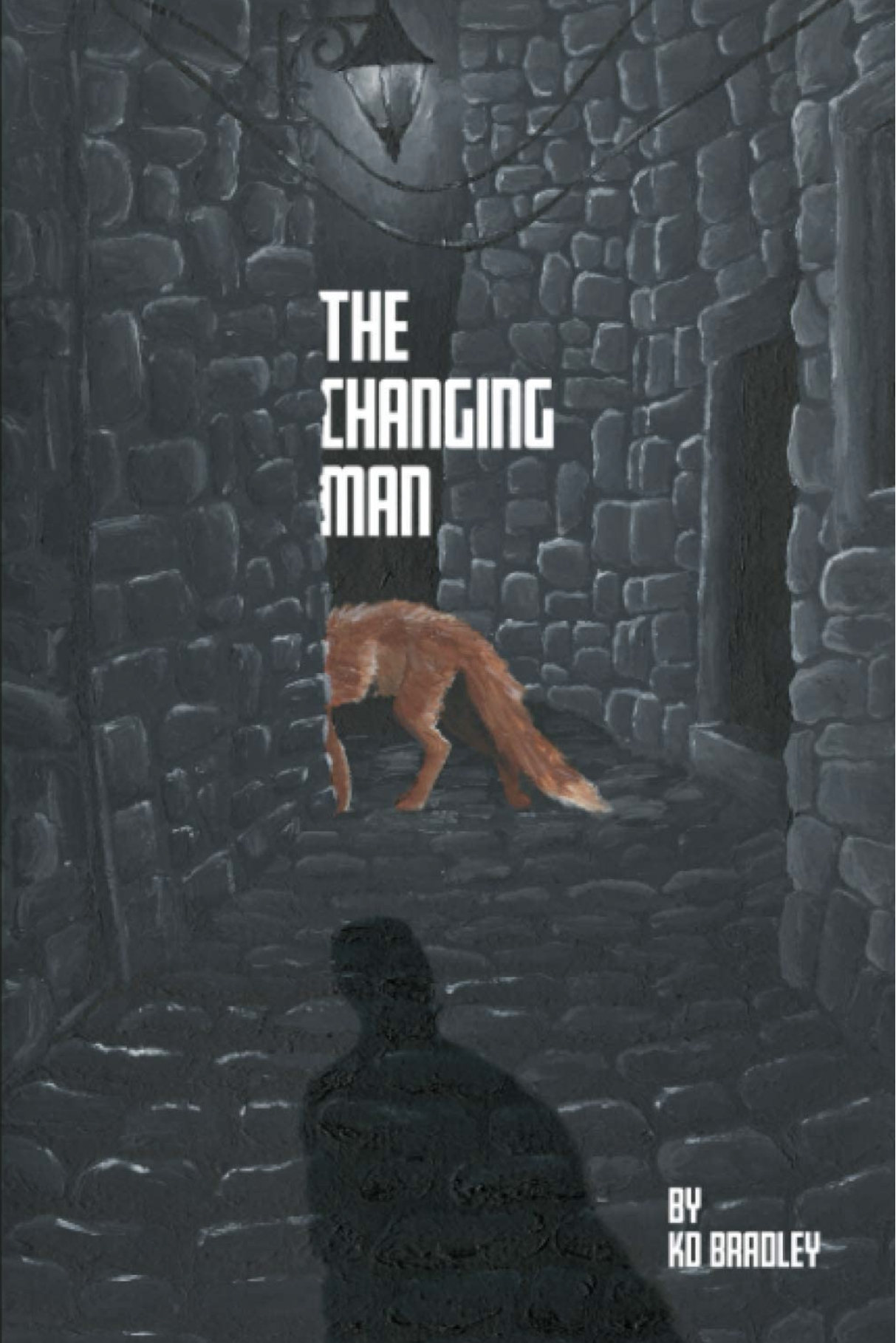 The Changing Man by KD BRADLEY | Goodreads