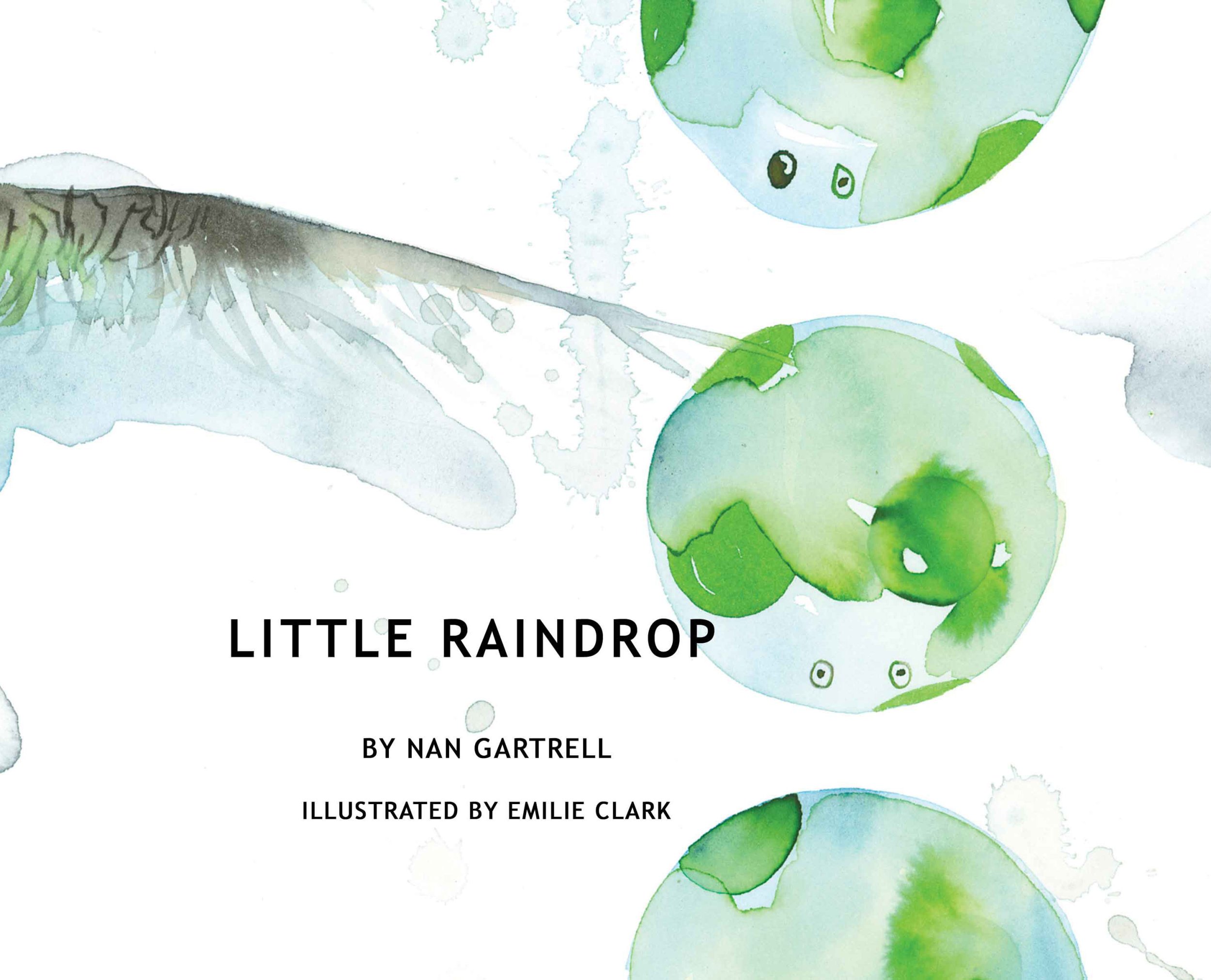 Little Raindrop by Nan Gartrell | Goodreads