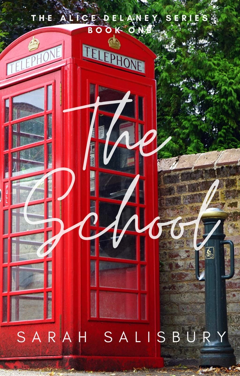The School (The Alice Delaney Series Book 1) by Sarah Salisbury | Goodreads