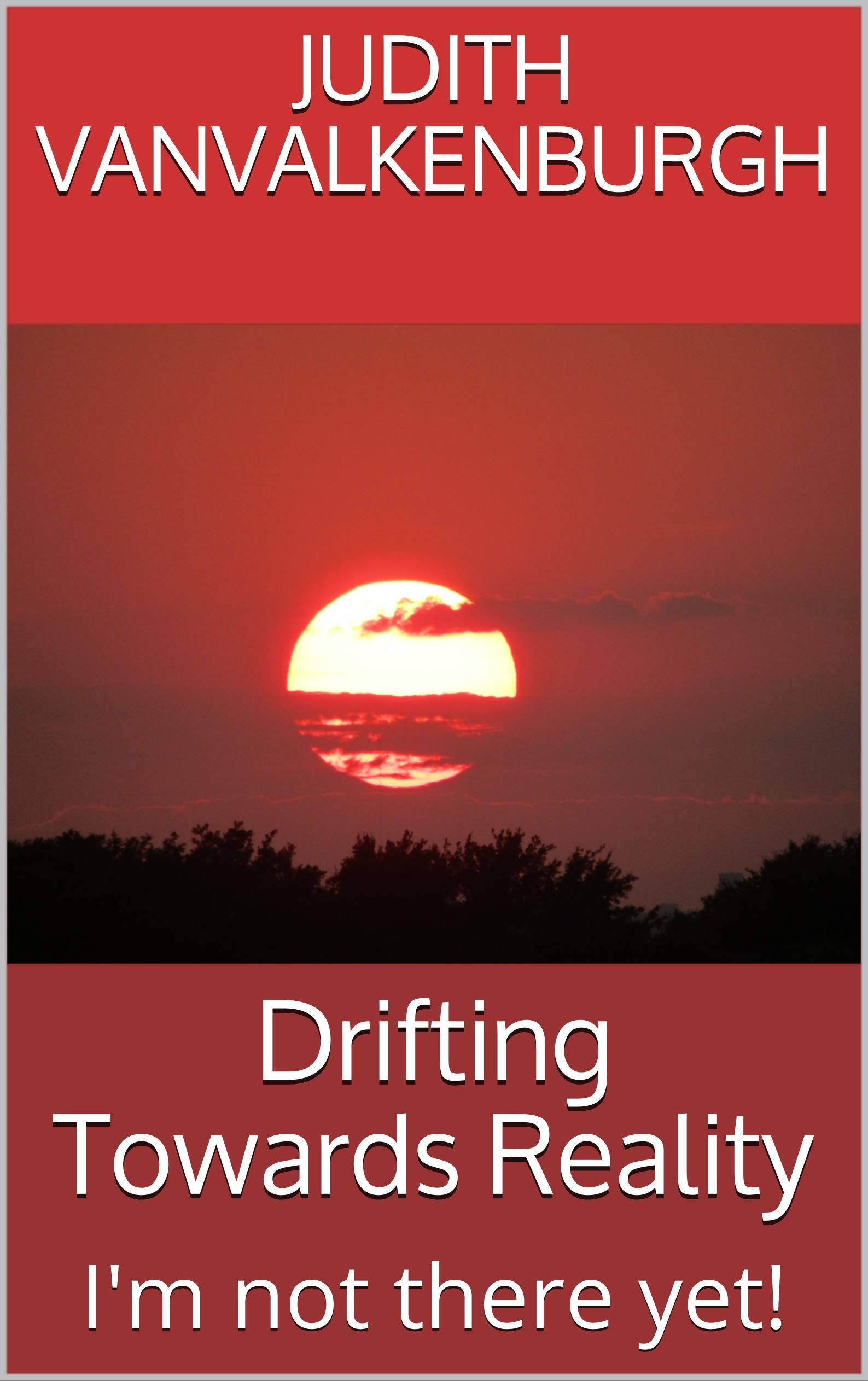 Drifting Towards Reality: I'm not there yet! by Judith VanValkenburgh ...