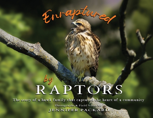 Enraptured by Raptors: The story of a hawk family that captured the ...