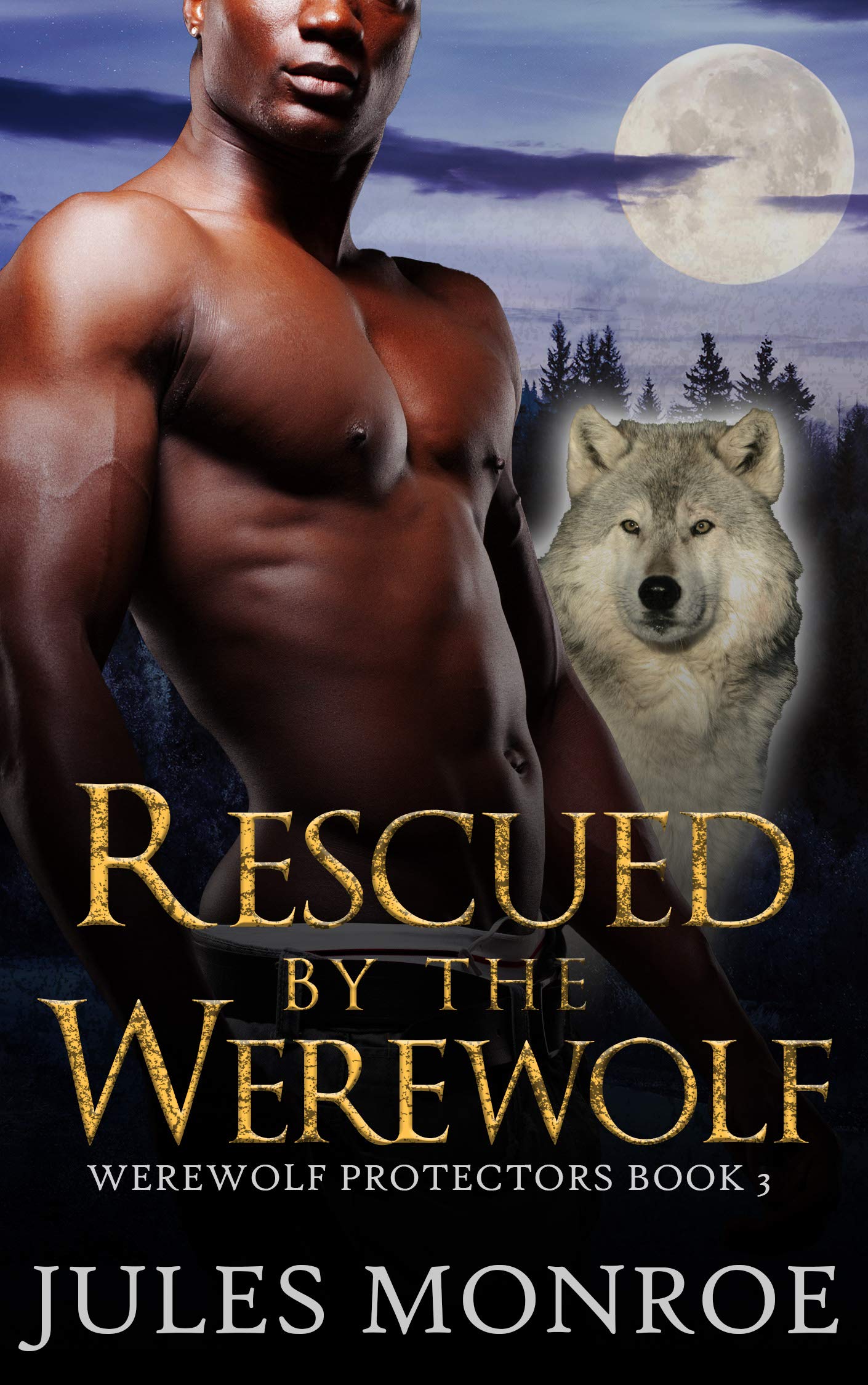 Rescued by the Werewolf (Werewolf Protectors #3) by Jules Monroe ...