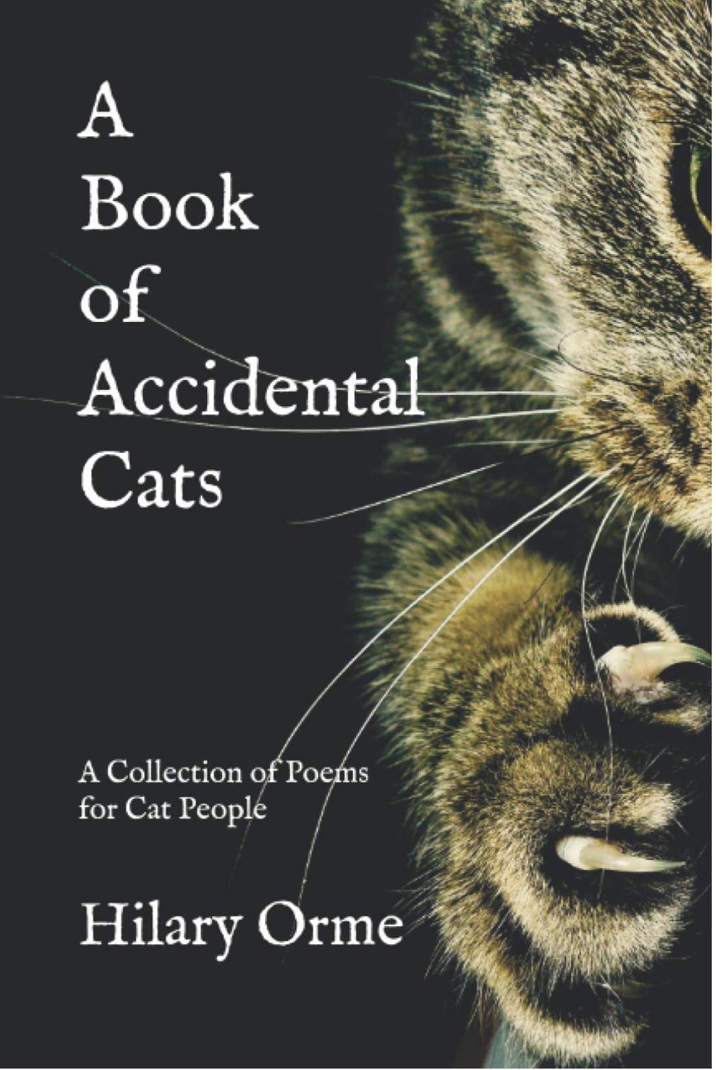 A Book of Accidental Cats: A Collection of Poems for Cat People by Hilary Orme | Goodreads