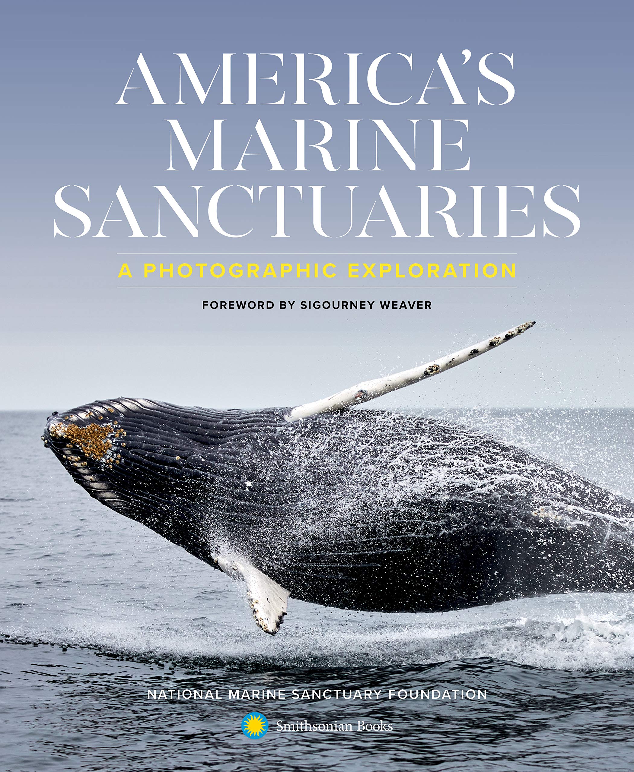 America's Marine Sanctuaries: A Photographic Exploration by National ...