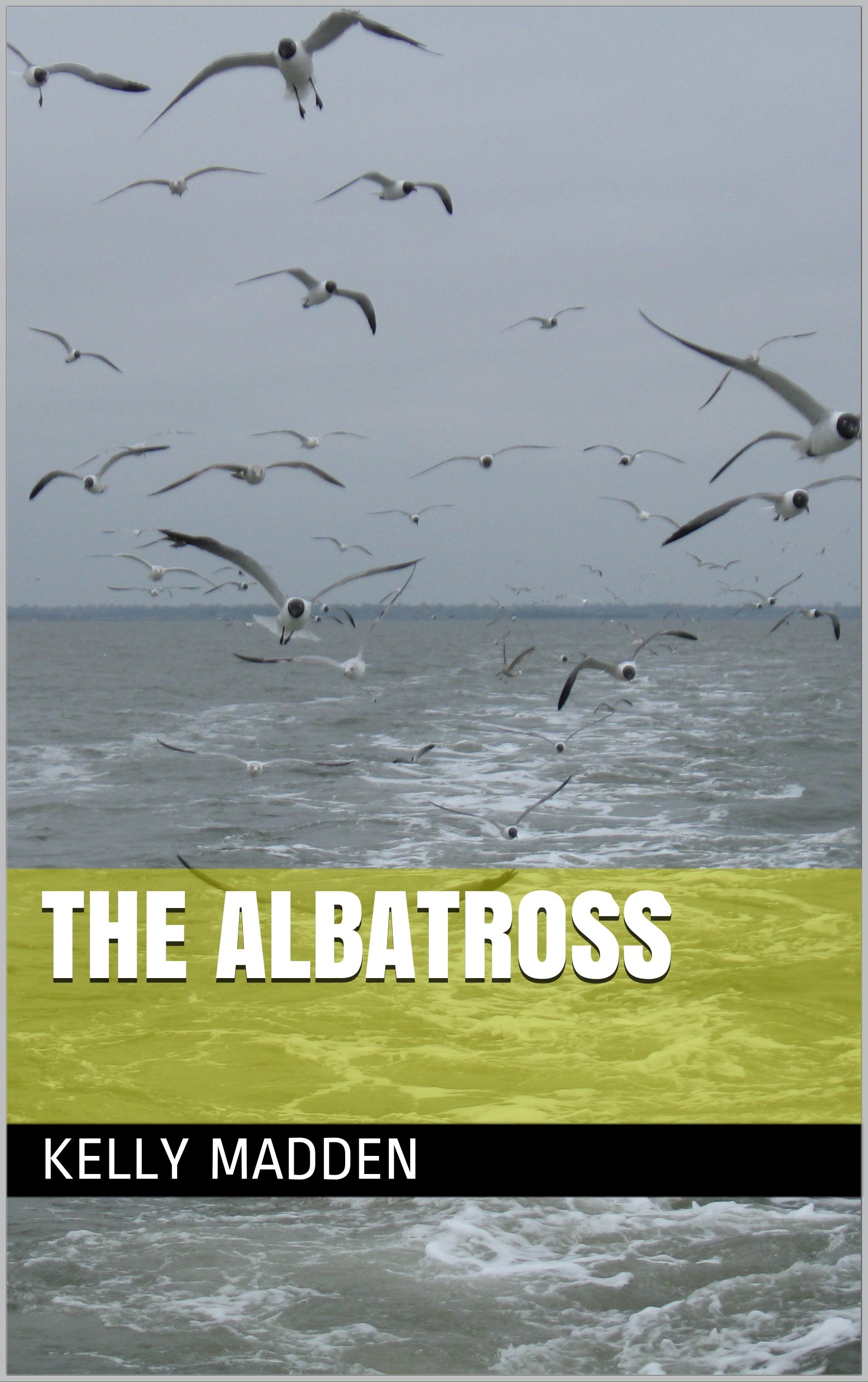 The Albatross by Kelly Madden | Goodreads