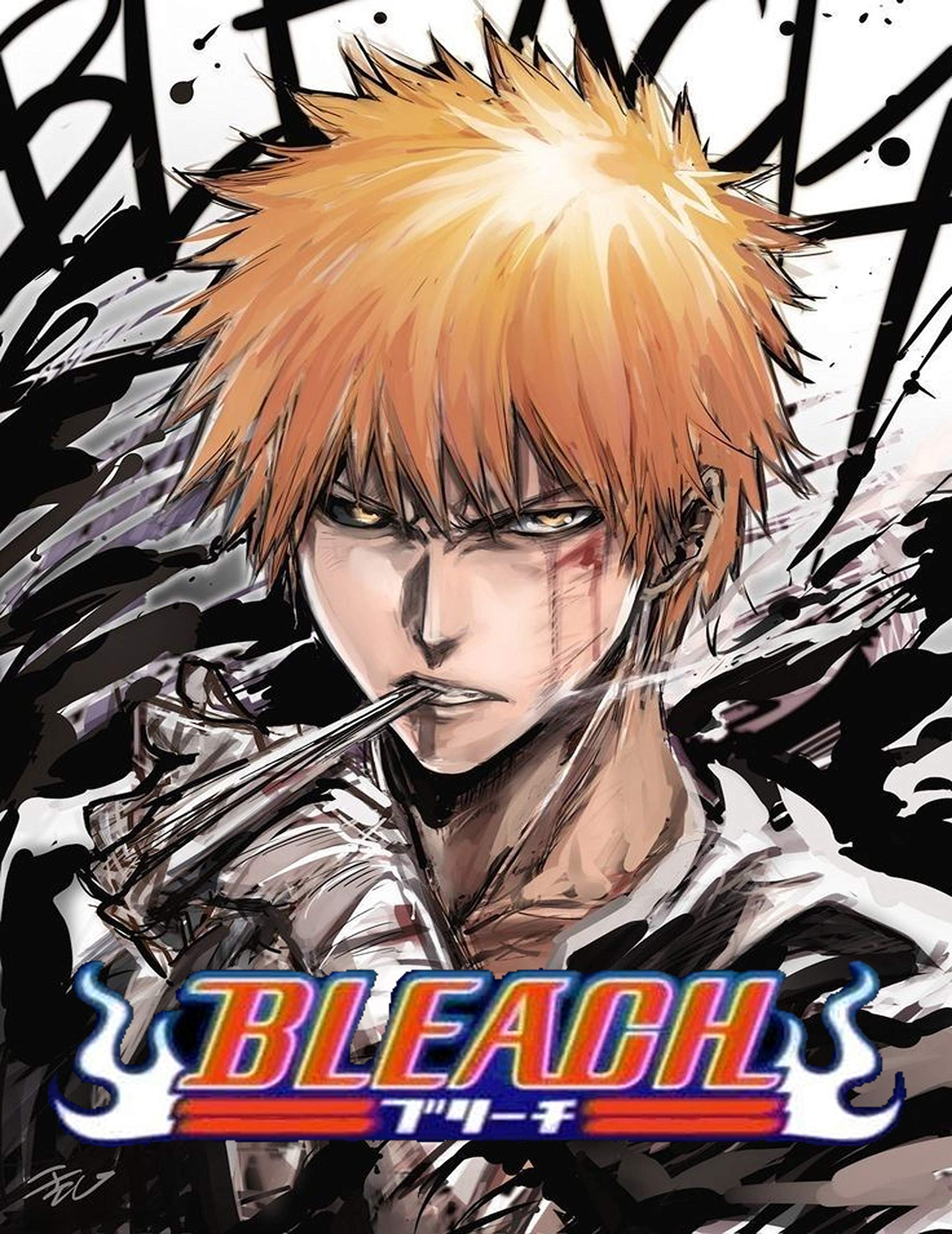 Bleach Deluxe Manga Collections Vol 1: Bleach Manga Vol 1 by Darlene ...