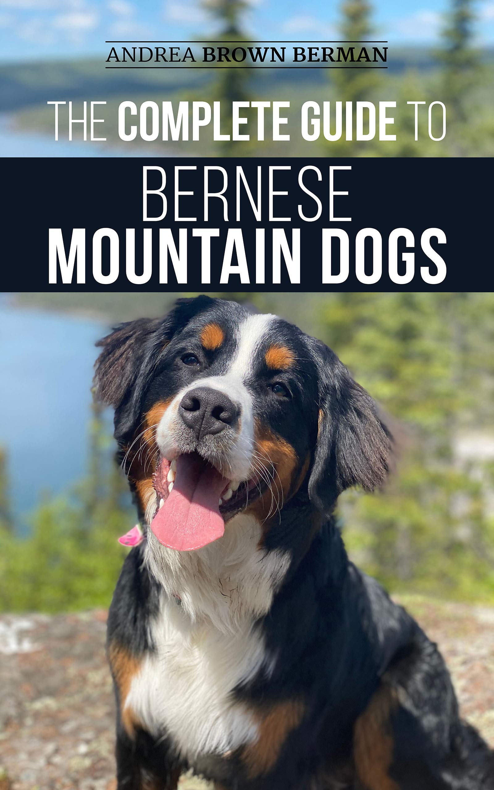 The Complete Guide to Bernese Mountain Dogs: Selecting, Preparing For ...