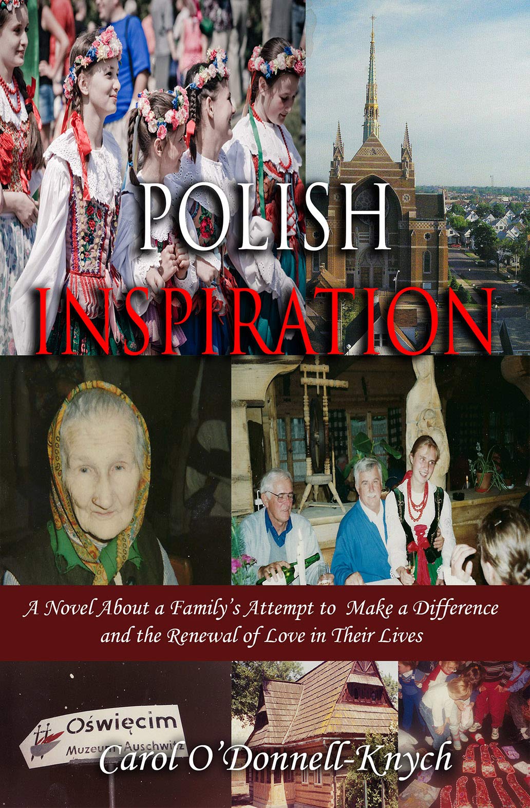 Polish Inspiration: A Novel about a Family’s Attempt to Make a ...