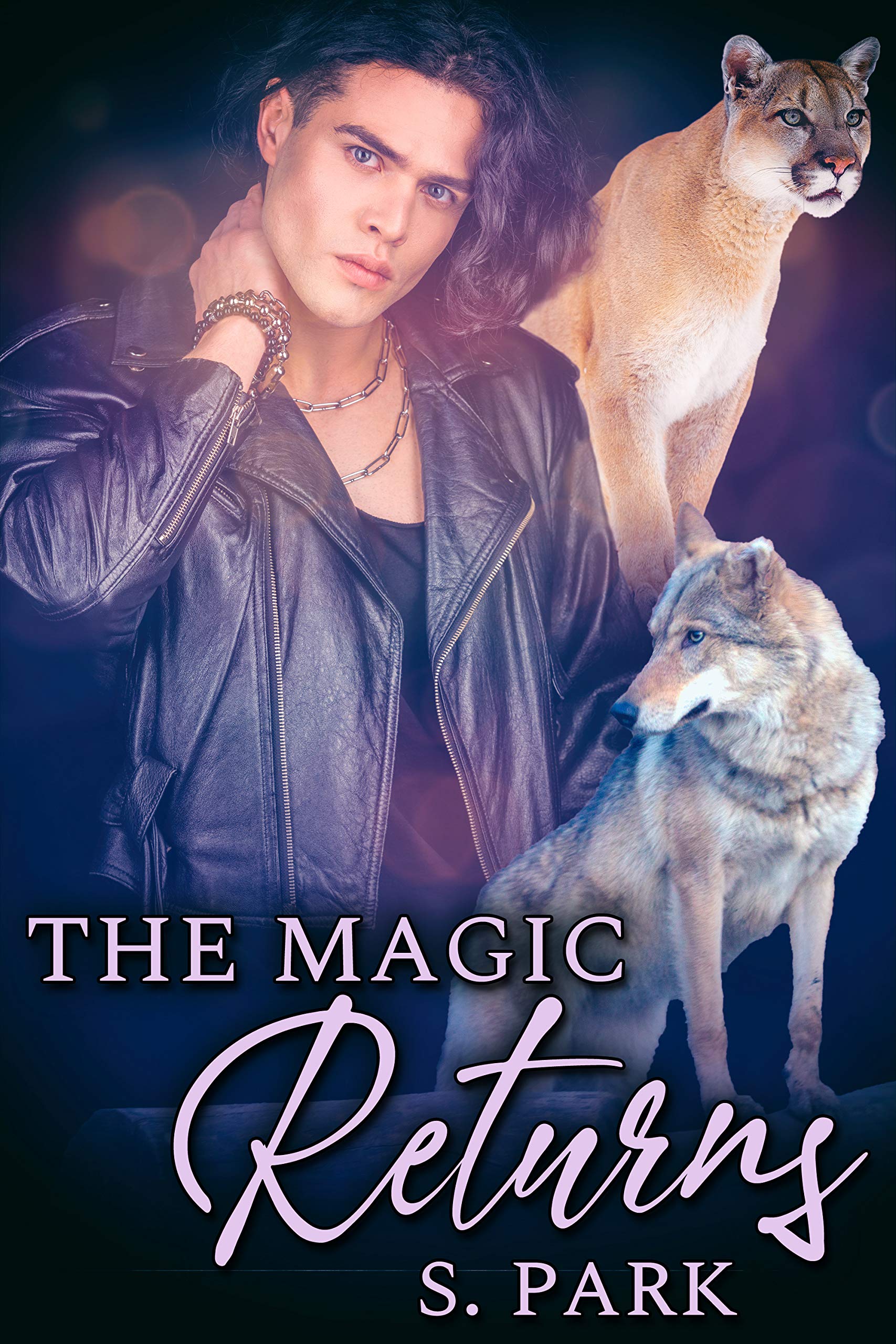The Magic Returns by S. Park | Goodreads