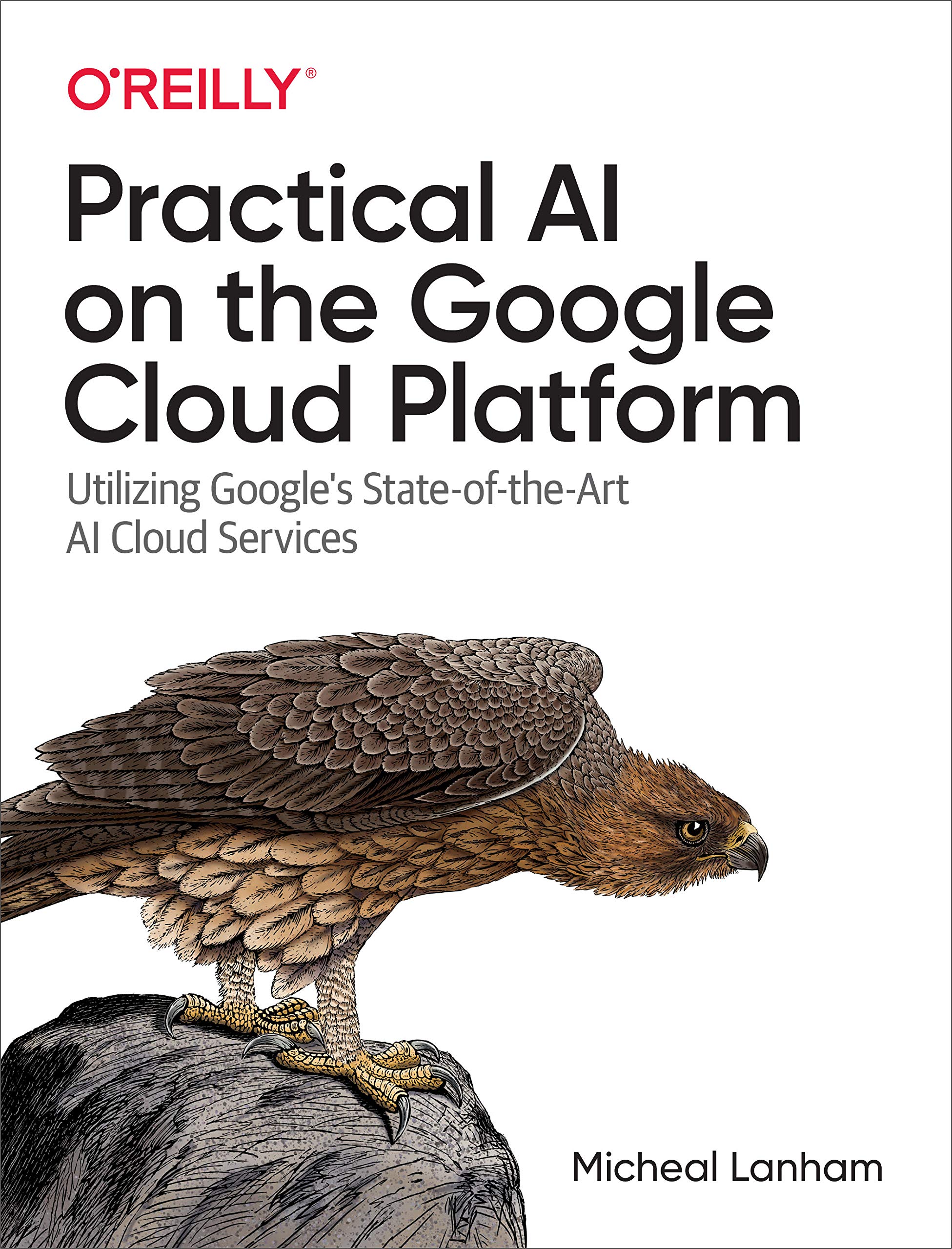 Practical AI on the Google Cloud Platform: Utilizing Google's State-of ...