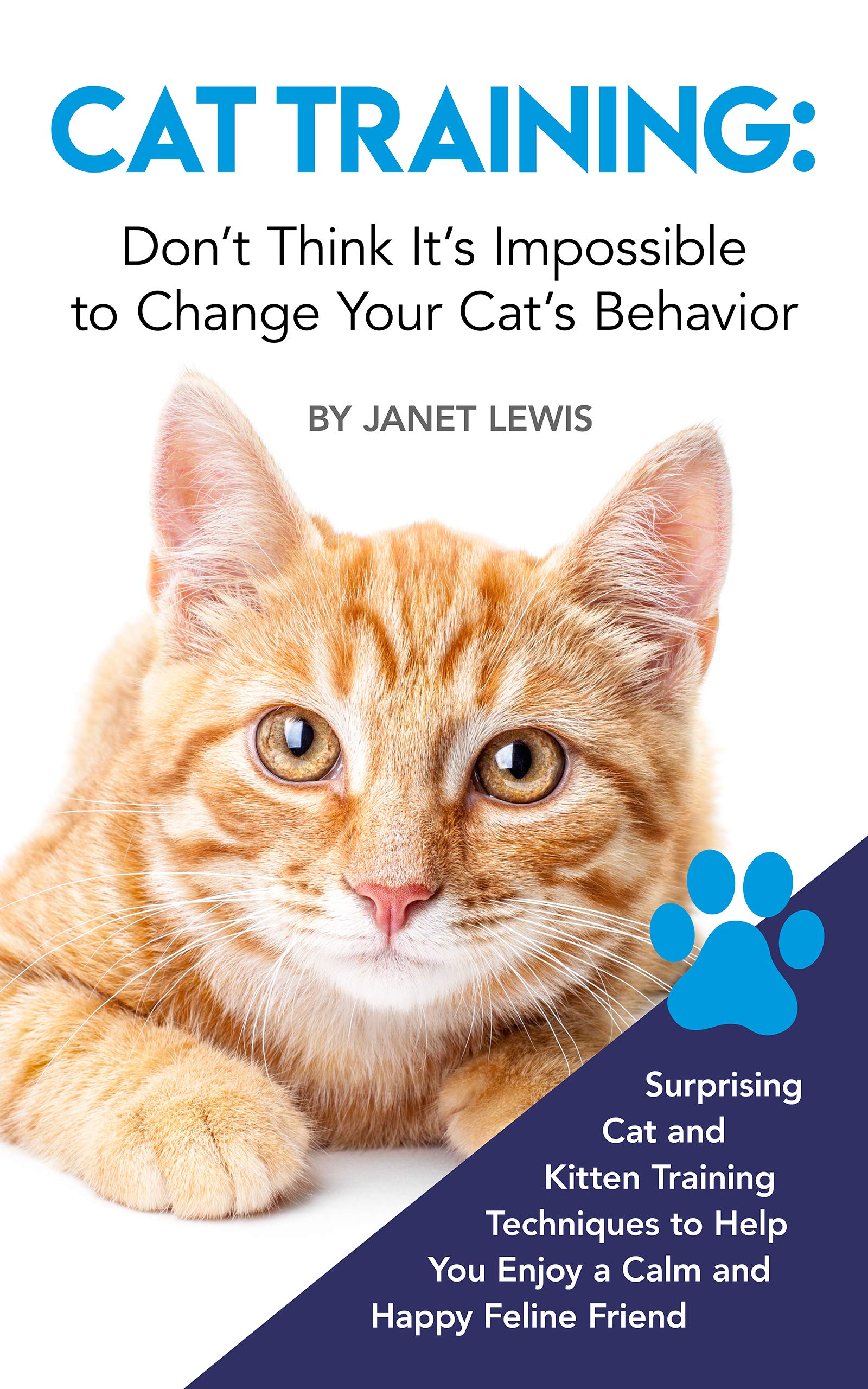 Cat Training: Don’t Think It’s Impossible to Change Your Cat’s Behavior ...