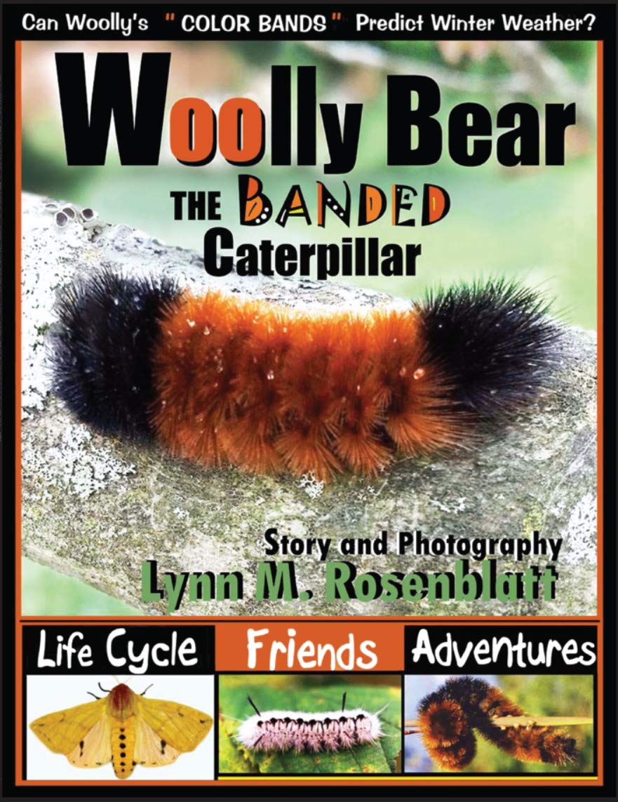 Woolly Bear the Banded Caterpillar: Life Cycle, Friends and Adventures ...